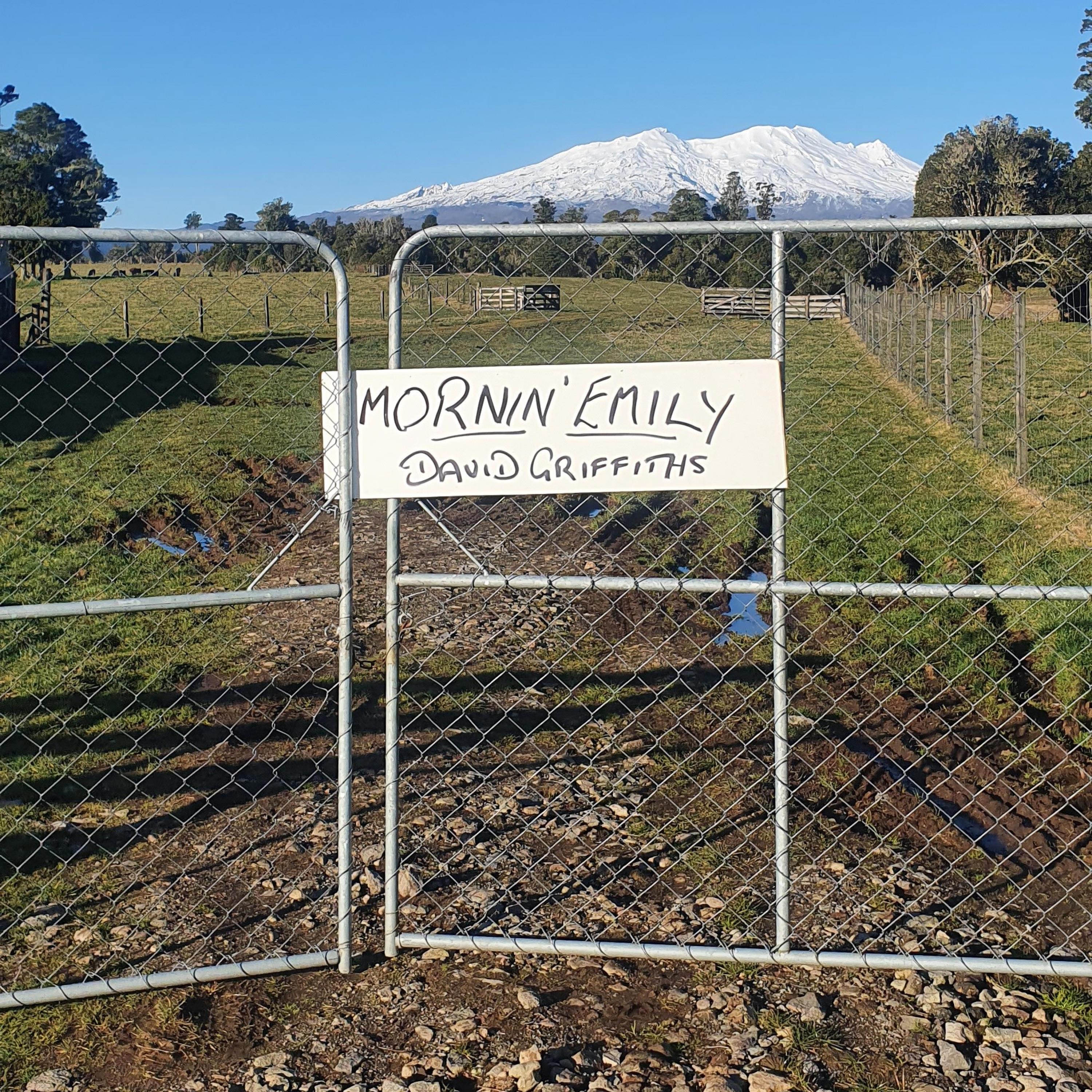 Mornin Emily - David Griffiths - 专辑 - 网易云音乐