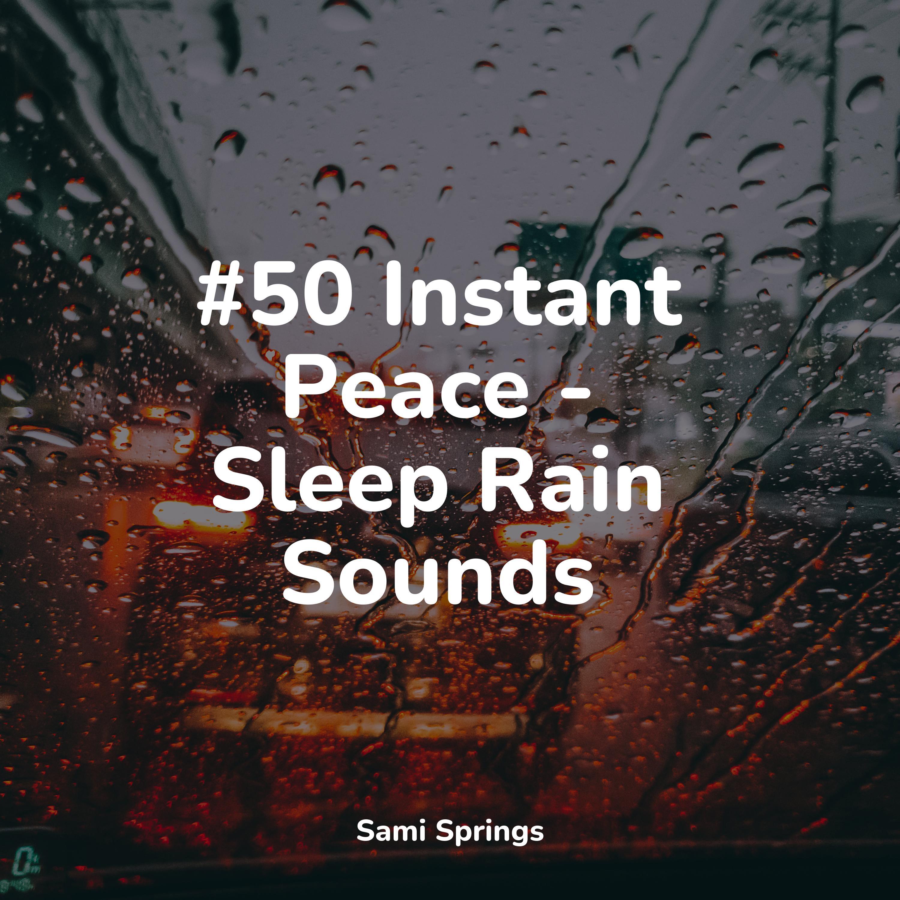 Rain on the Surface - Relaxing Rain Sounds/Canción de Cuna/Nature ...