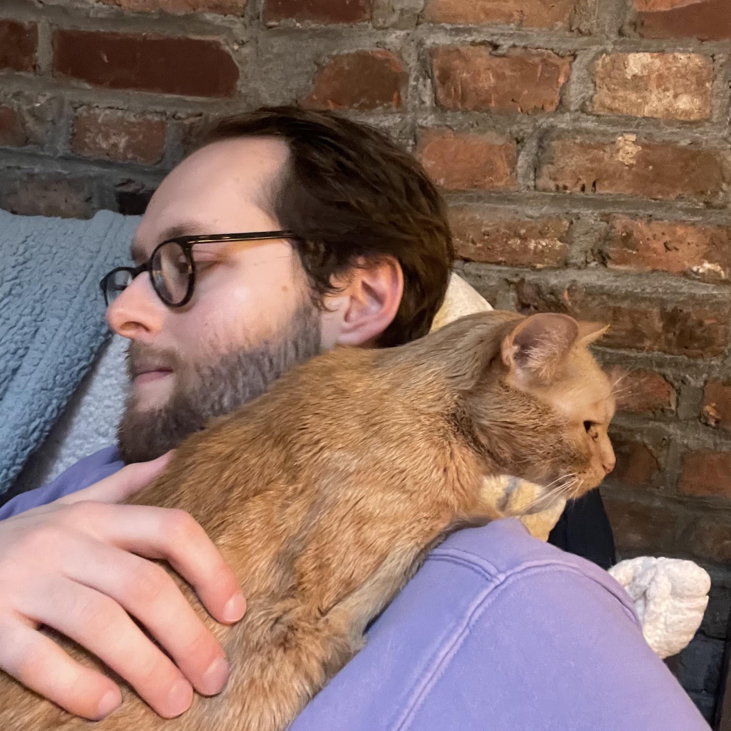 Too Shy to Say (Cover) - Josh Augustin - 专辑 - 网易云音乐