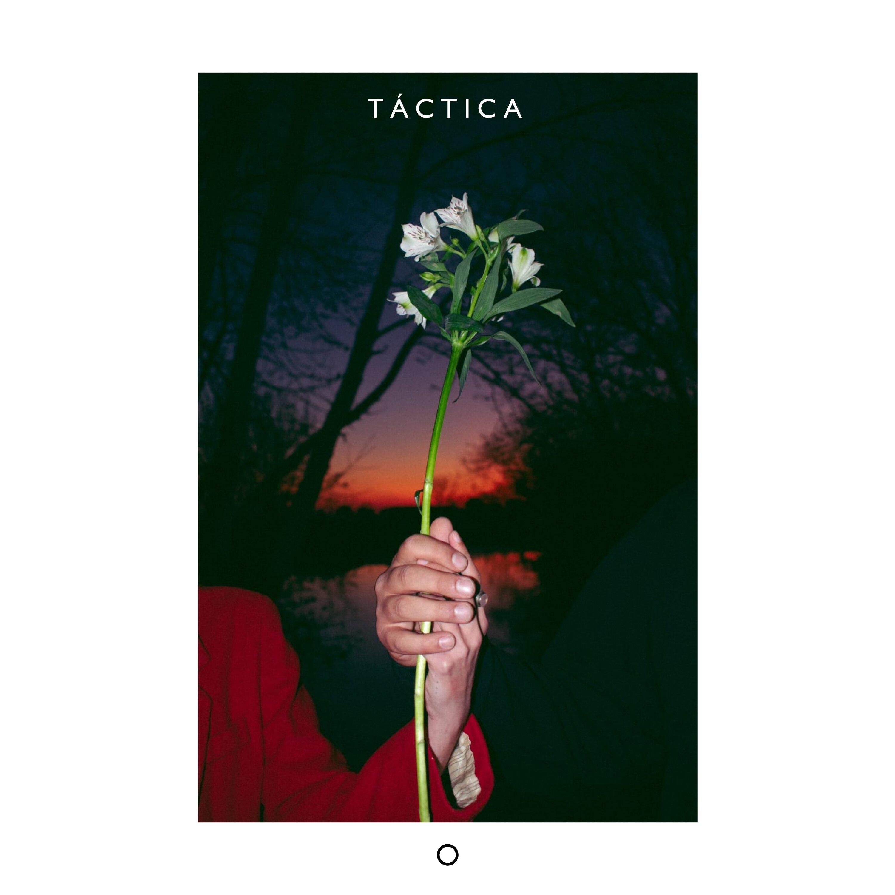 Táctica - Lucía Rojas - 单曲 - 网易云音乐