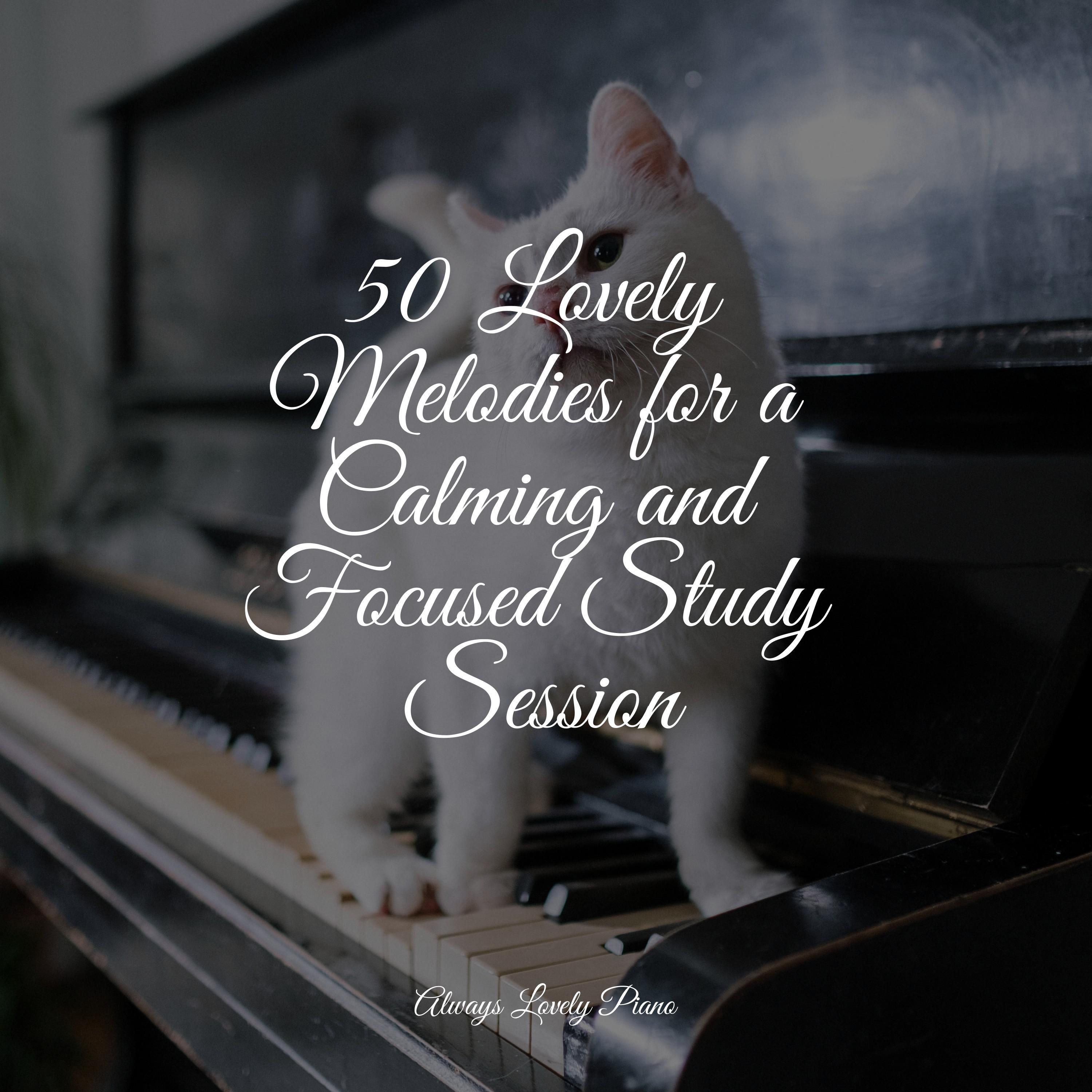 A Loving Memory - Concentration Music Ensemble/Piano Relajante/Piano ...