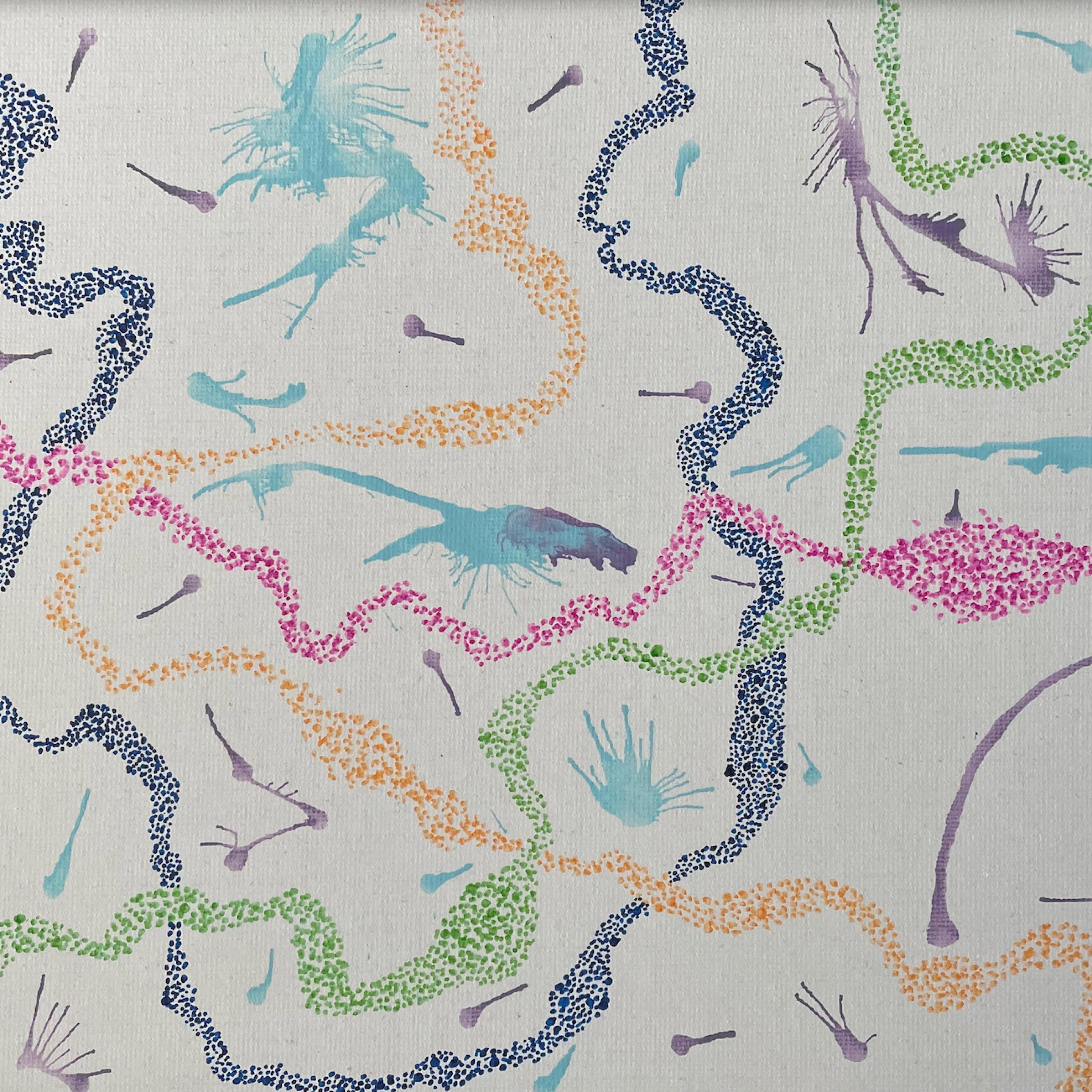 spooky dave&busters - Toad - 专辑 - 网易云音乐