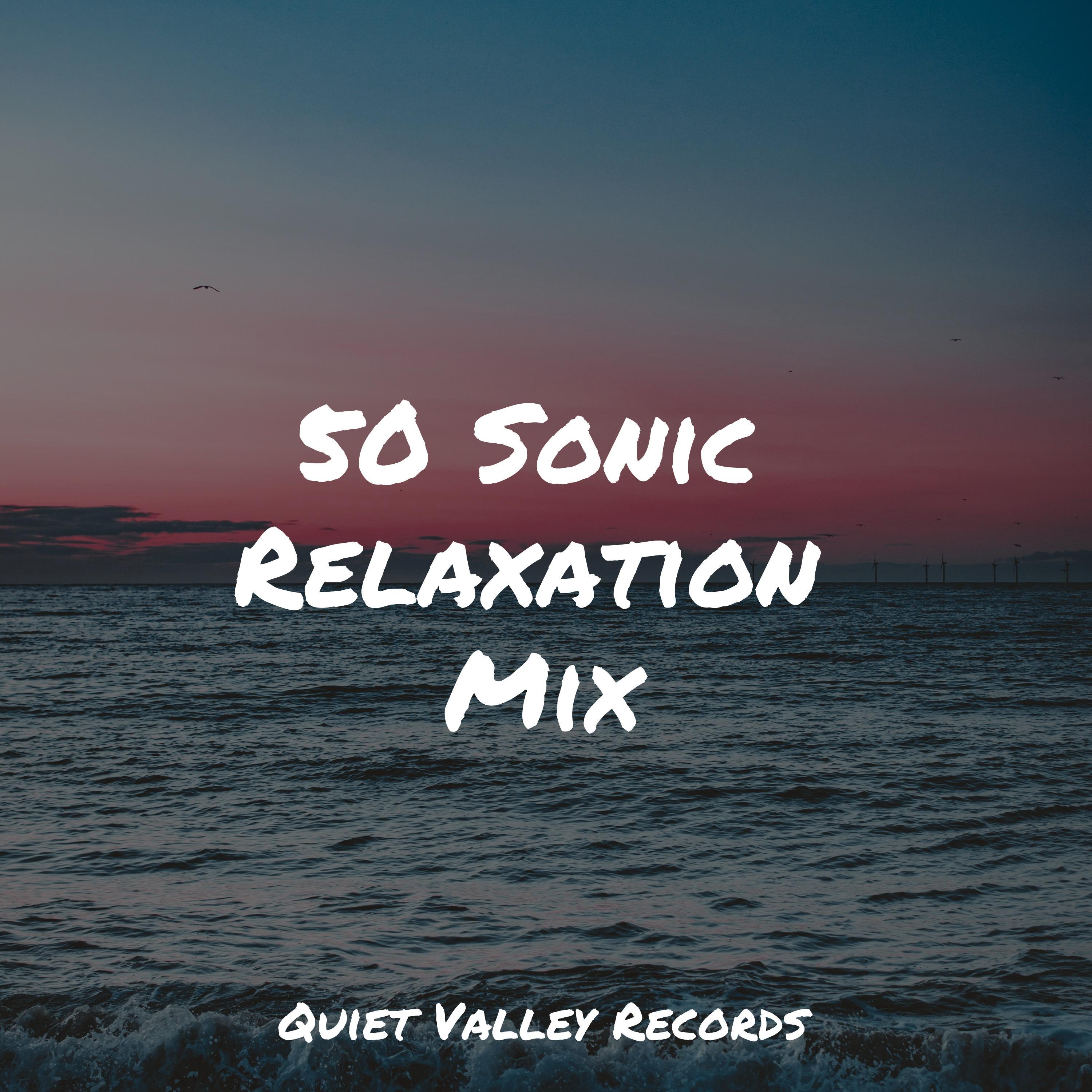 50 Sonic Relaxation Mix - Serenity Spa Music Relaxation - 专辑 - 网易云音乐