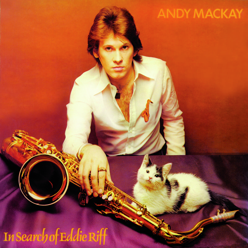 Ride Of The Valkyries - Andy Mackay - 单曲 - 网易云音乐