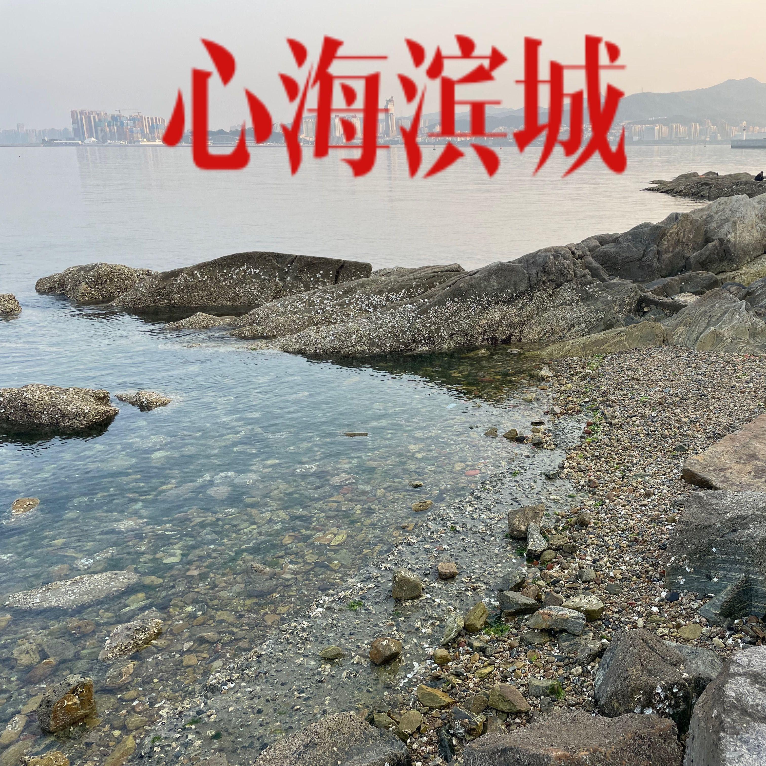 心海滨城demo（街头招式beat8） - 1pac（1pac） - 专辑 - 网易云音乐