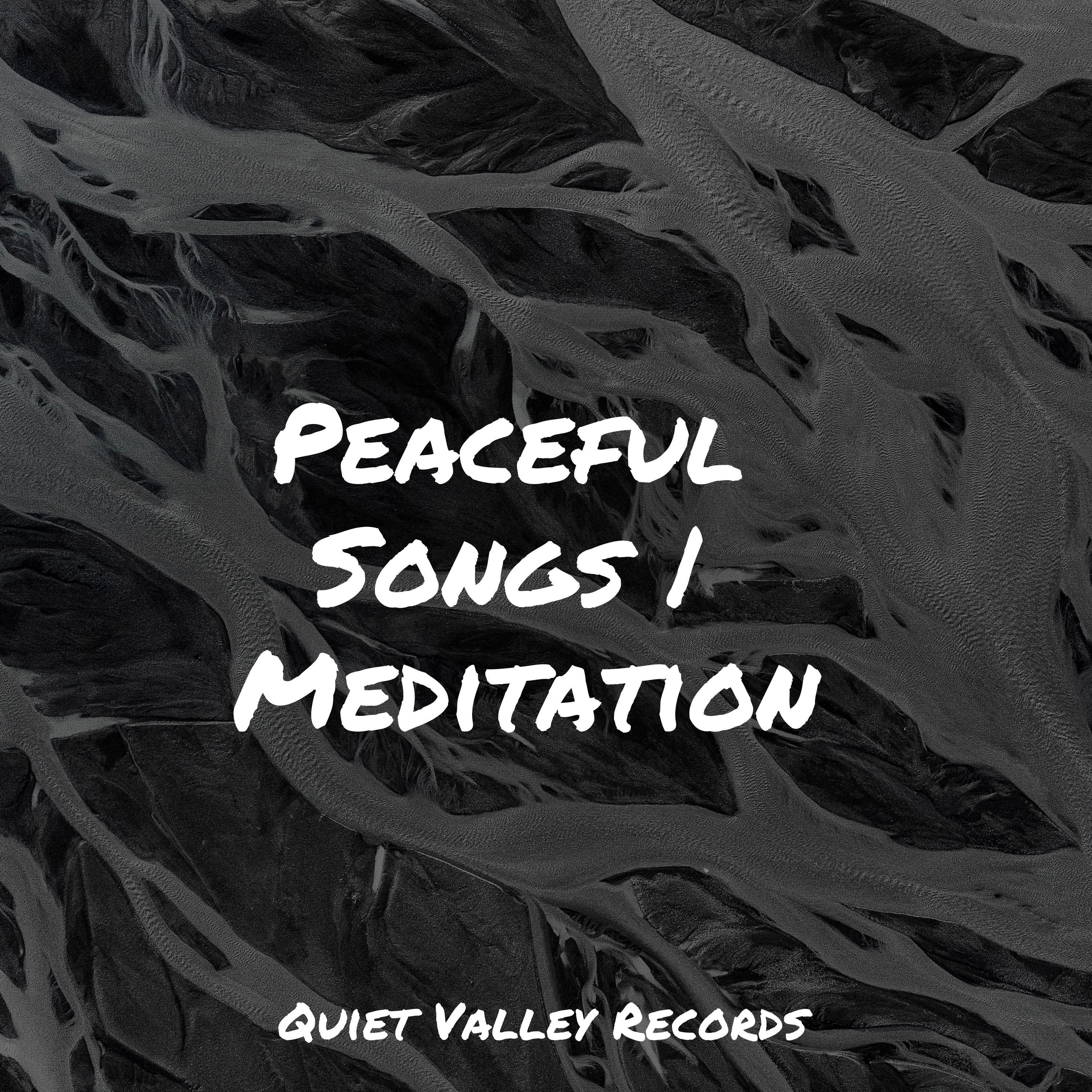 O2 - Sleeping Music For Dogs/Music for Calming Dogs/Jazz Music Therapy ...