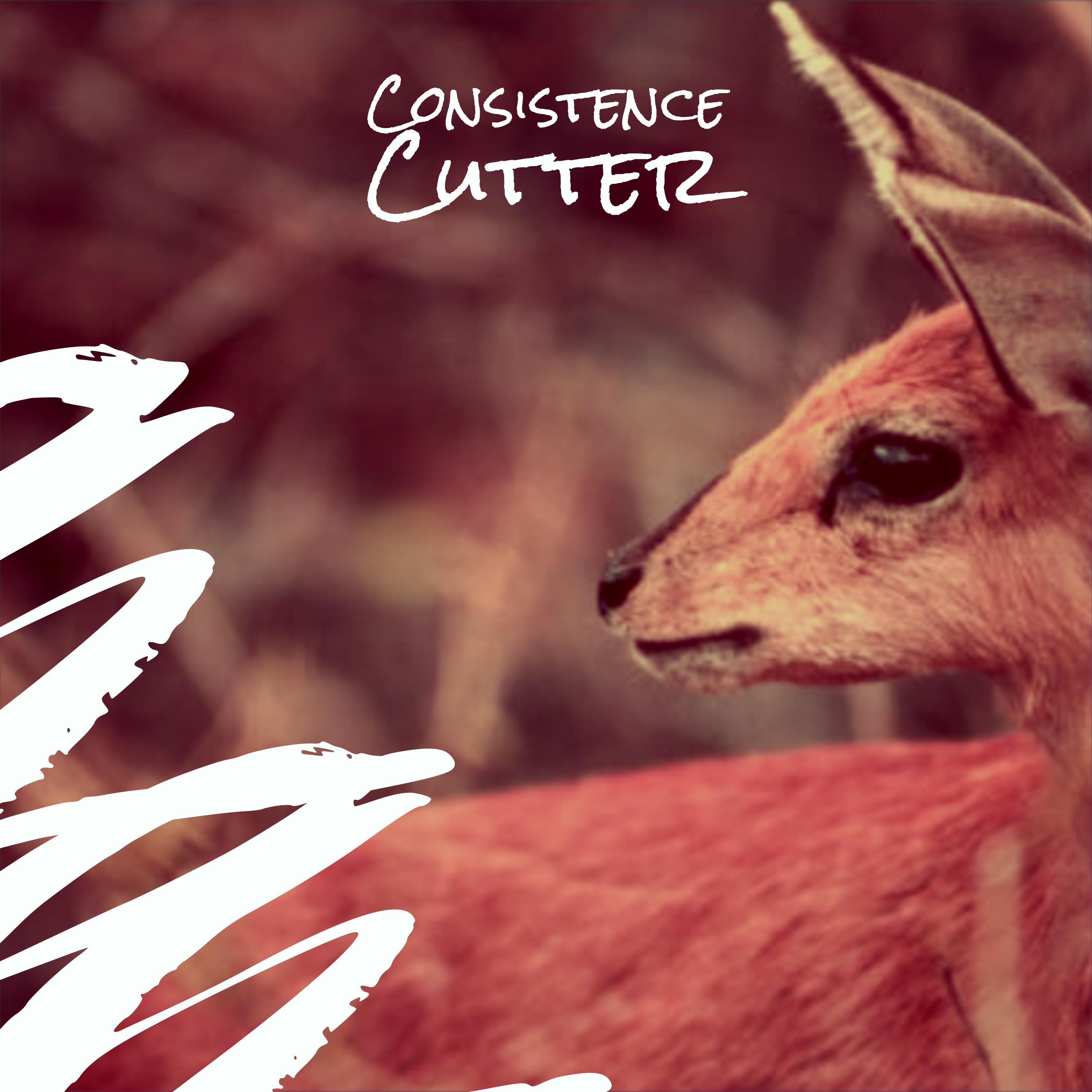 Consistence Cutter - Dony Olger - 单曲 - 网易云音乐
