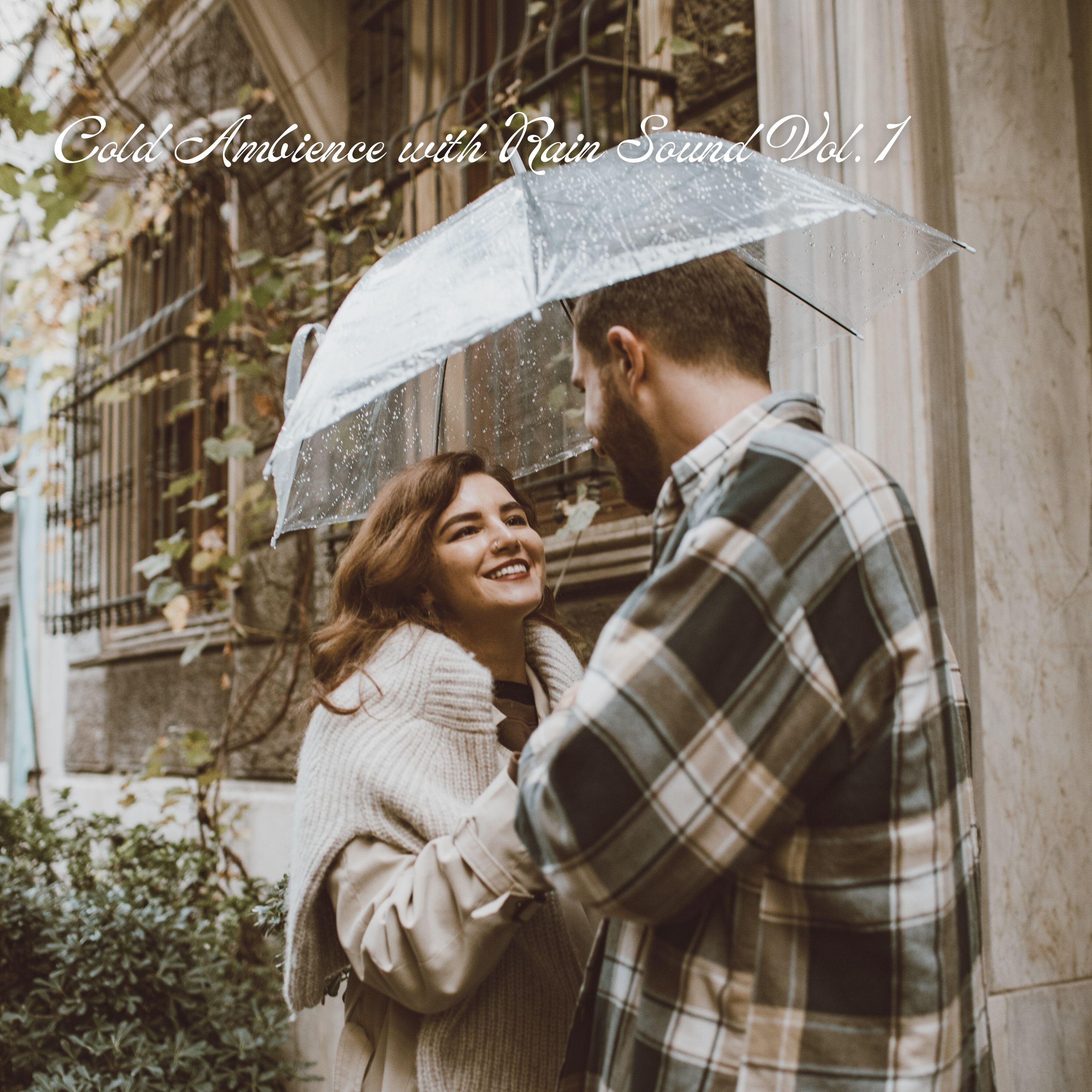 Cold Ambience with Rain Sound Vol. 1 - Cat Music - 专辑 - 网易云音乐
