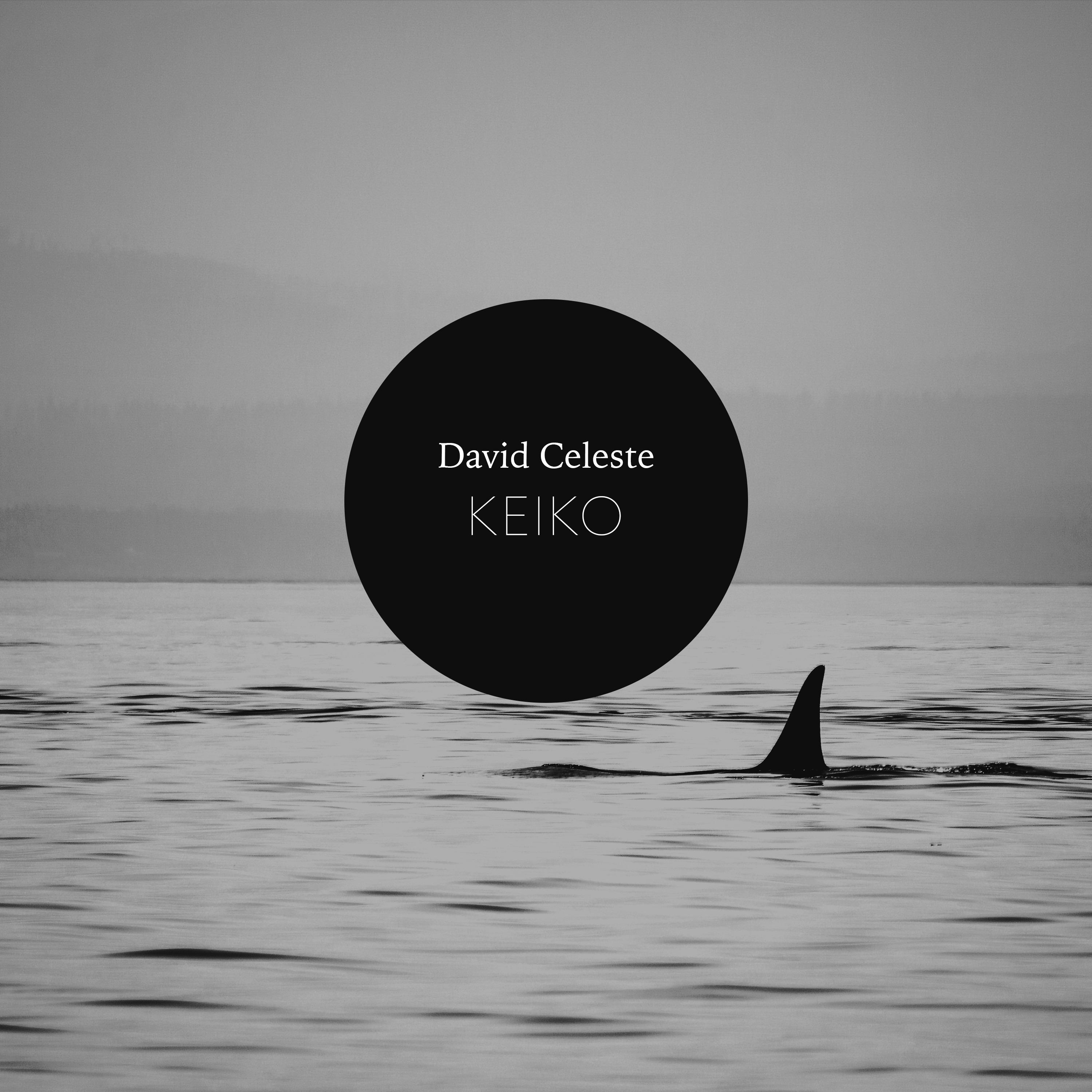 Keiko - David Celeste - 专辑 - 网易云音乐