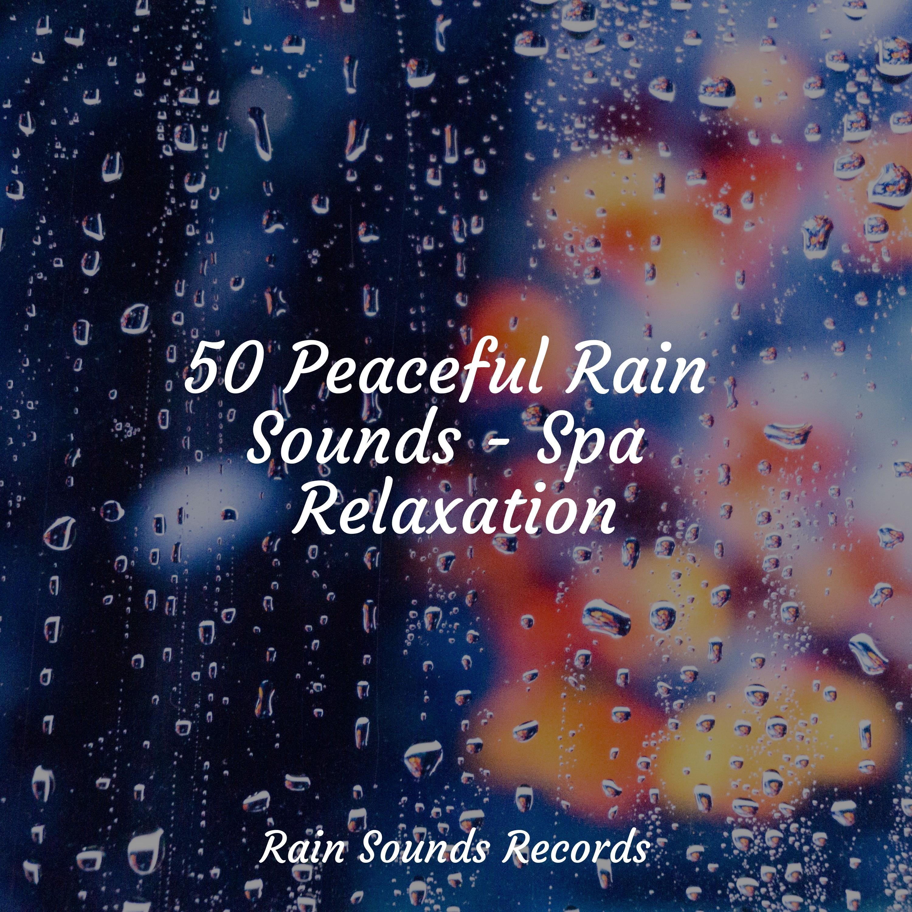 50 Peaceful Rain Sounds - Spa Relaxation - Pro Sound Effects Library ...