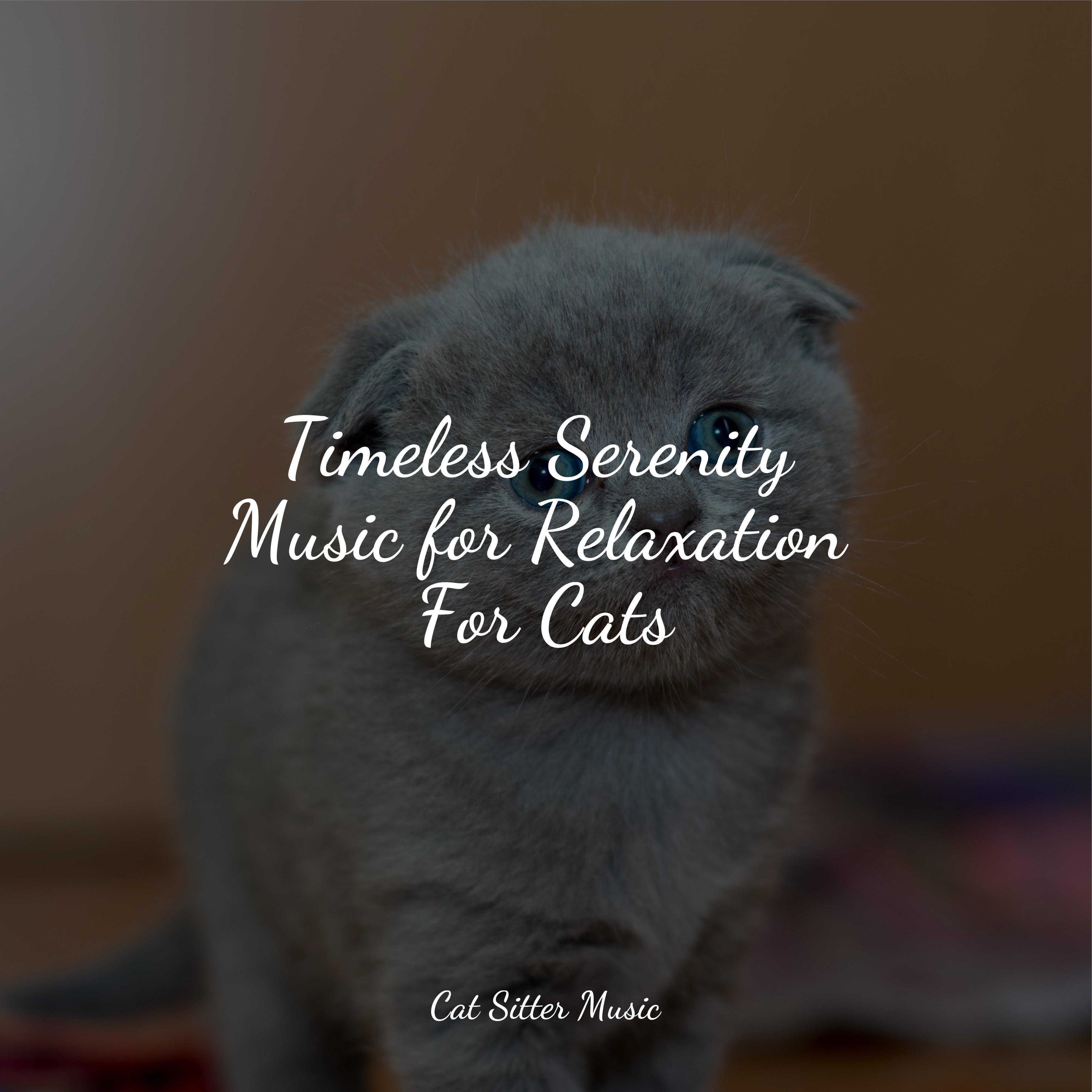 Timeless Serenity Music for Relaxation For Cats - Music for Pets ...