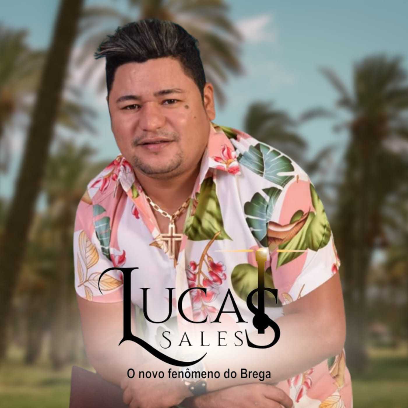 Voce Não Manda Em Mim - Lucas Salles - 单曲 - 网易云音乐
