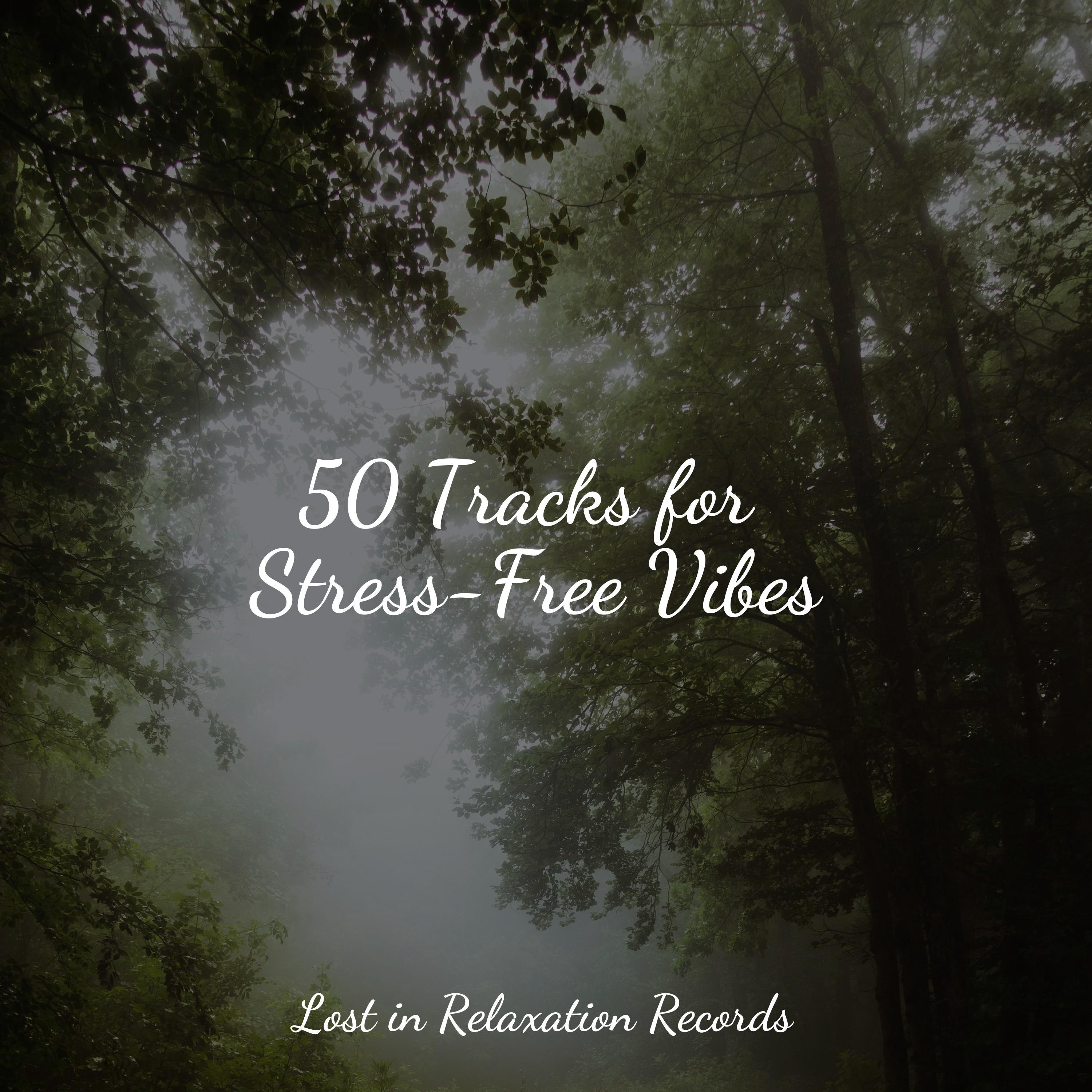 50 Tracks for Stress-Free Vibes - Musica Para Meditar - 专辑 - 网易云音乐