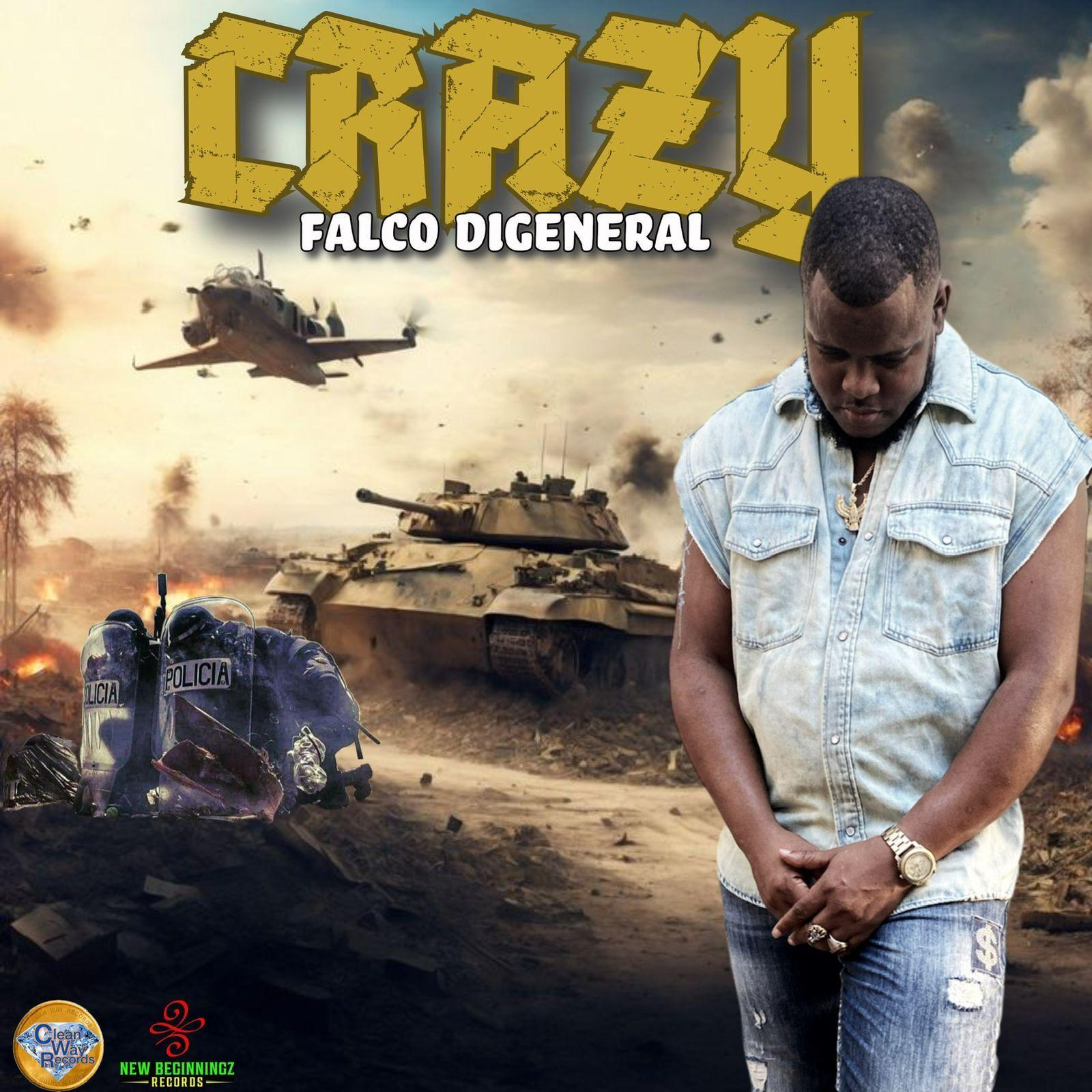 Crazy - Falco Digeneral - 单曲 - 网易云音乐