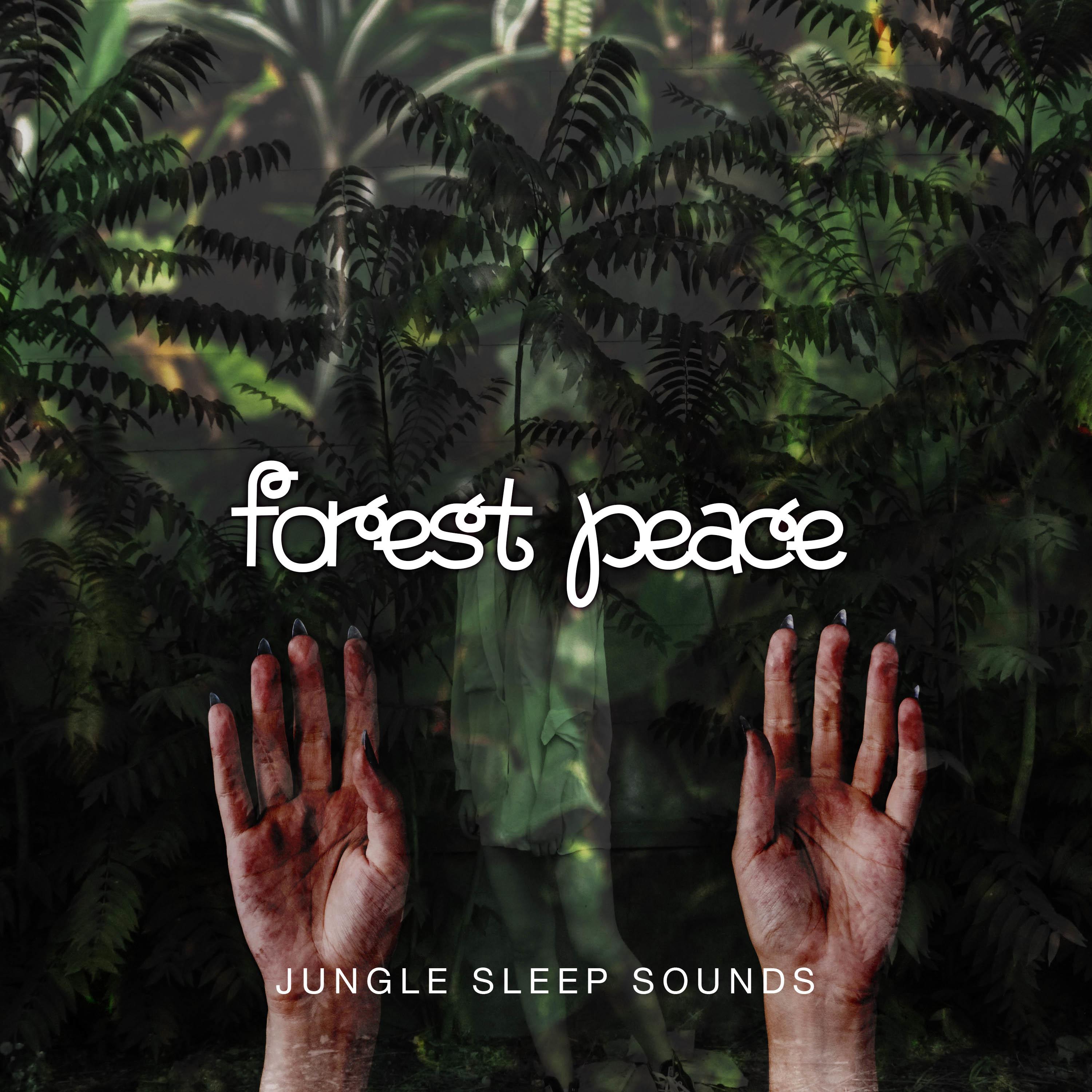 Merge Rich - Jungle Sleep Sounds - 单曲 - 网易云音乐