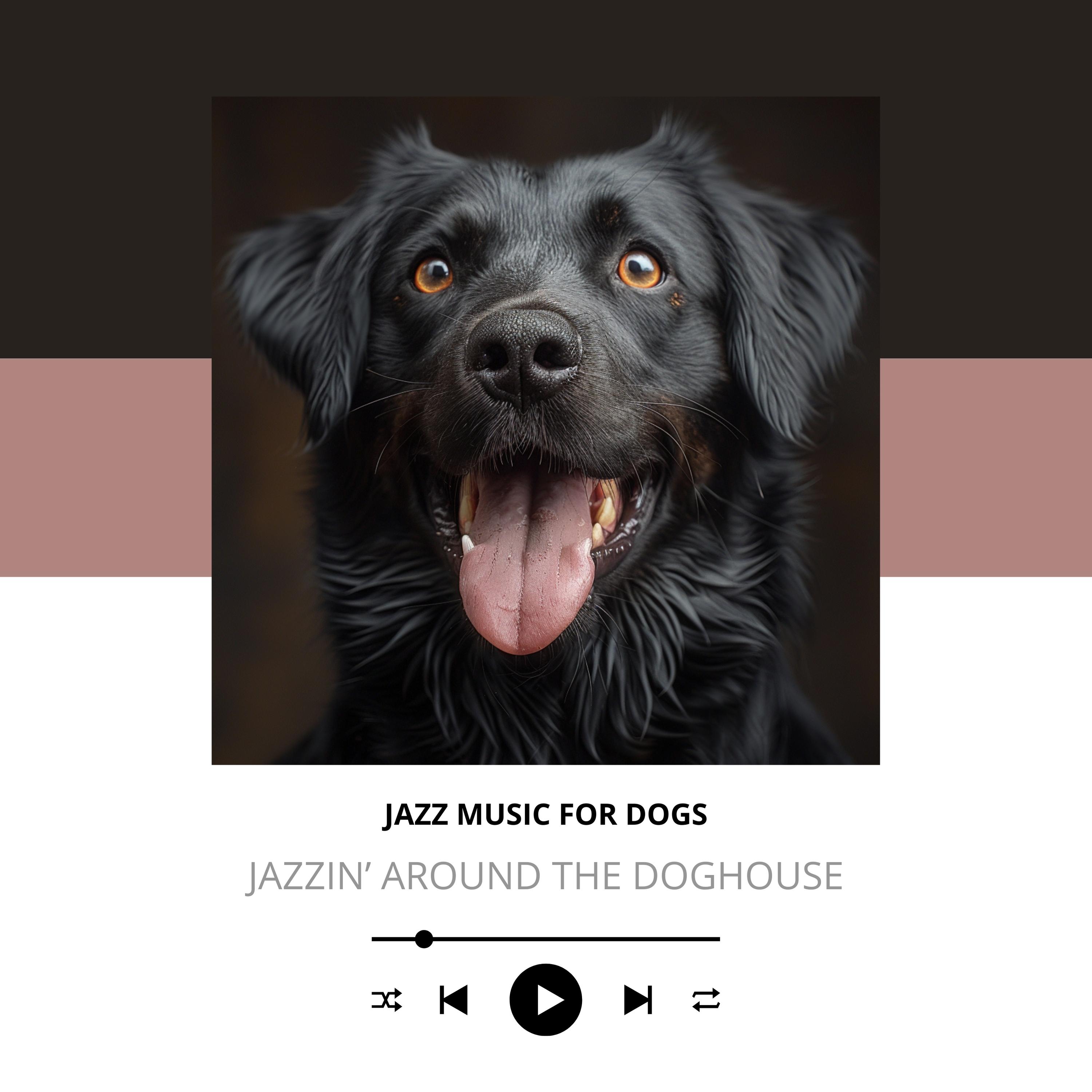 Furry Scat Cat - Jazz Music for Dogs - 单曲 - 网易云音乐