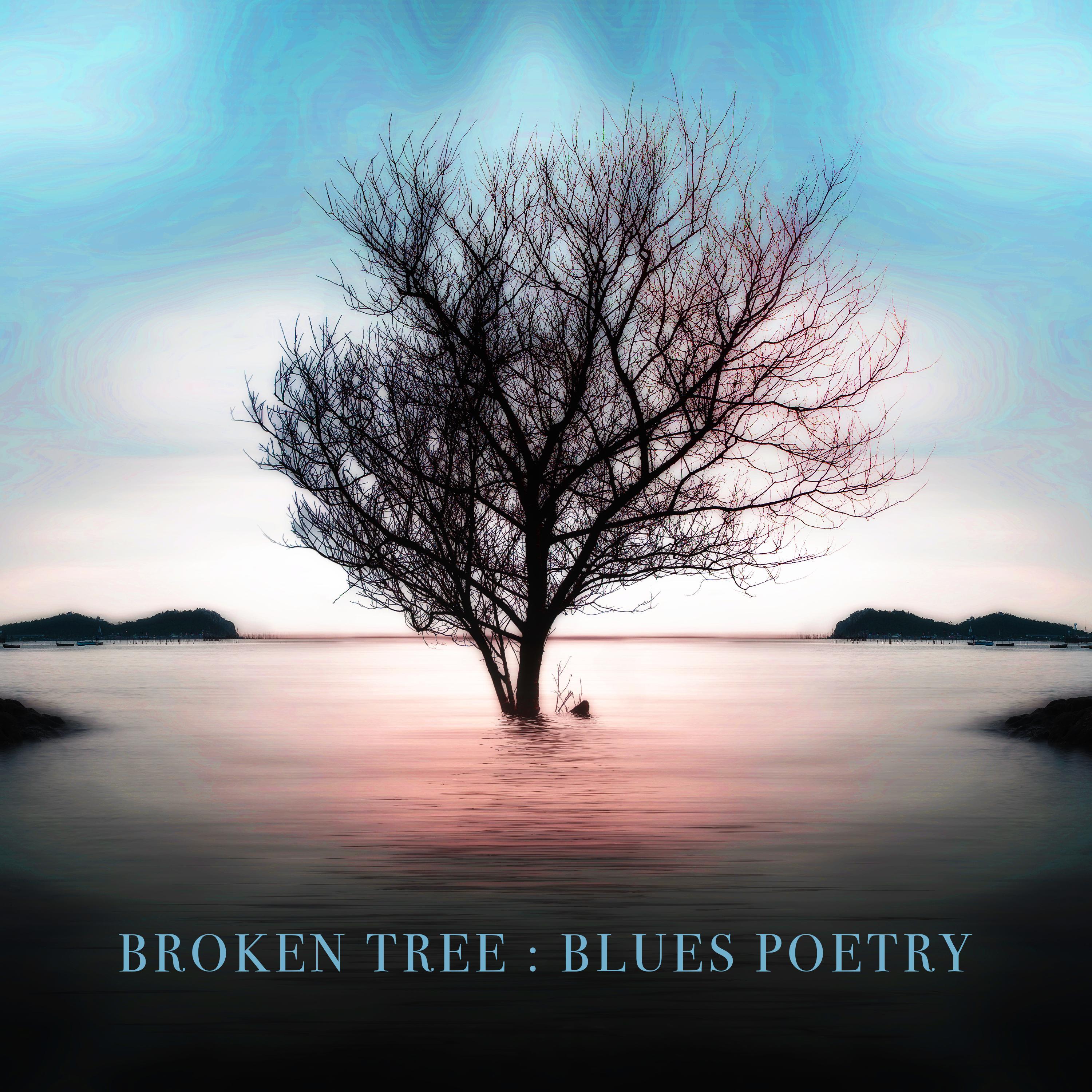 Broken Tree : Blues Poetry - Markus Ty - 单曲 - 网易云音乐