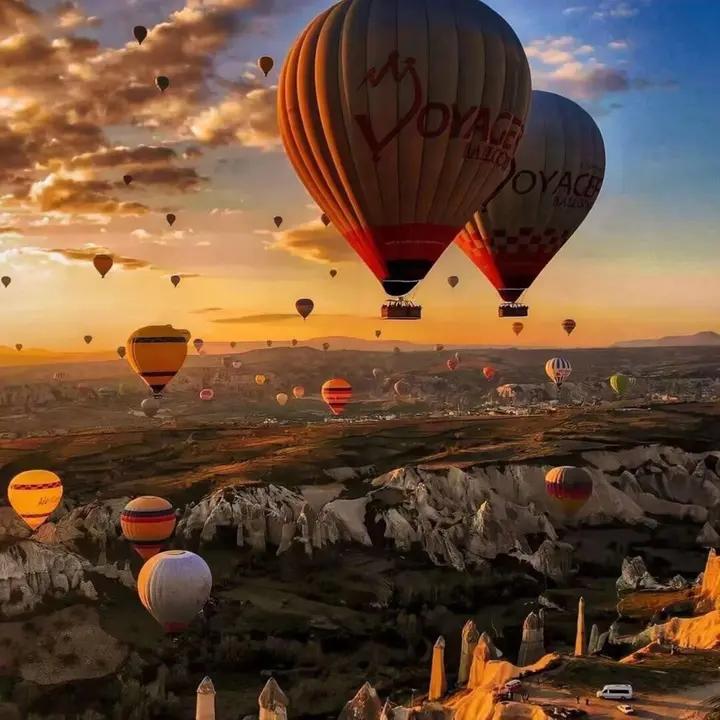 G.E.M.邓紫棋 - 你把我灌醉（Adolf Jack / Calvin Z） - 音乐之旅：探索世界音乐的奇妙之旅 - 电台节目 - 网易云音乐