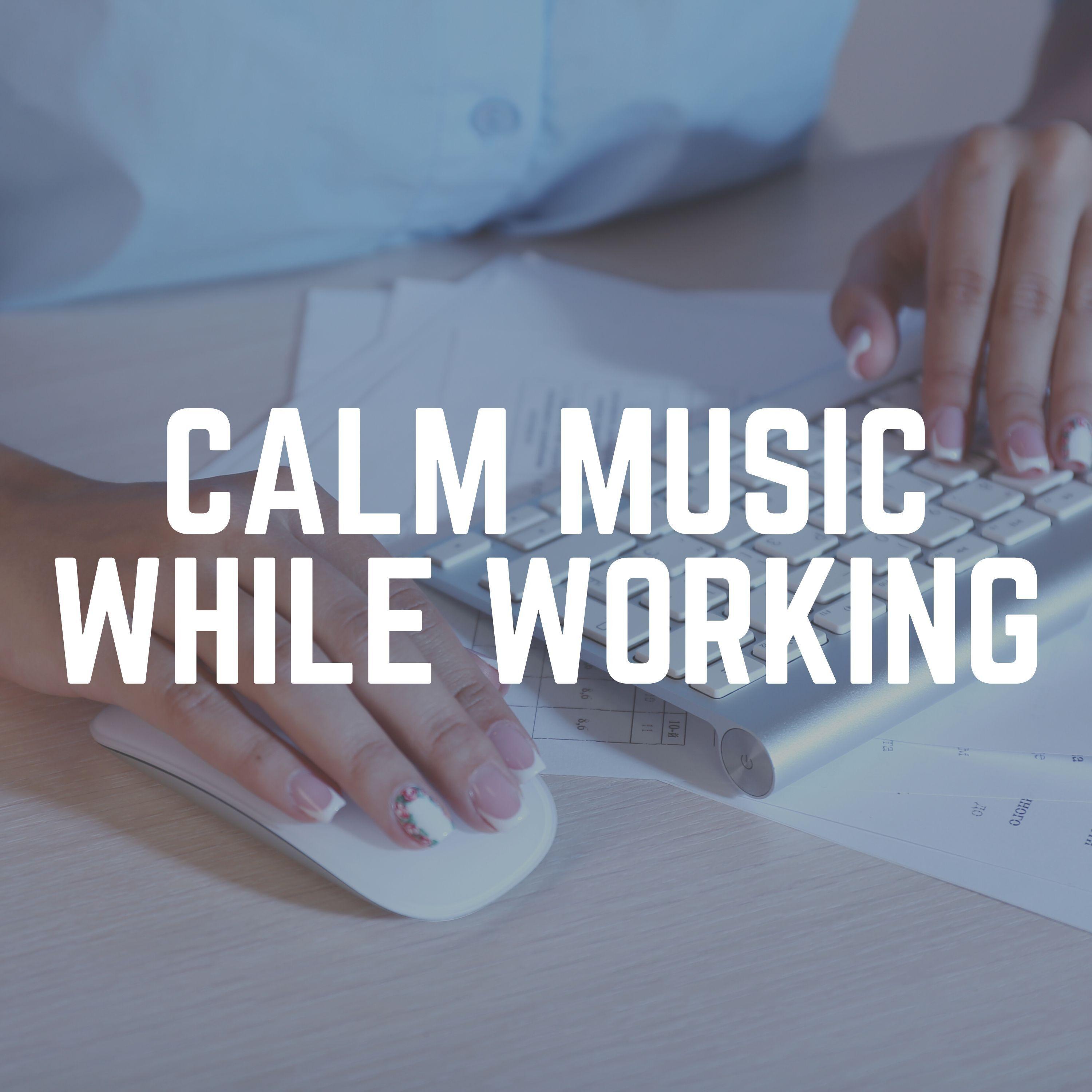 Calm Music While Working - Calm Music - 专辑 - 网易云音乐