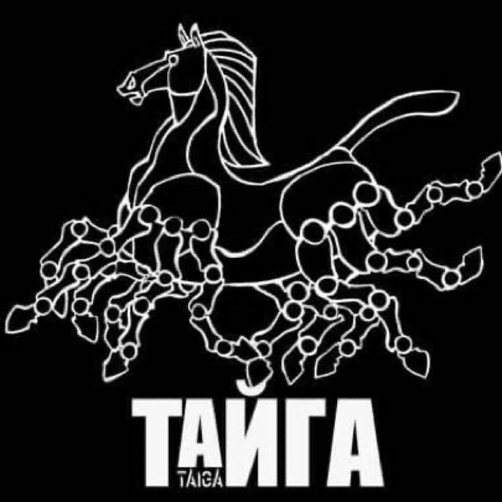 Taiga乐队 - 歌手 - 网易云音乐