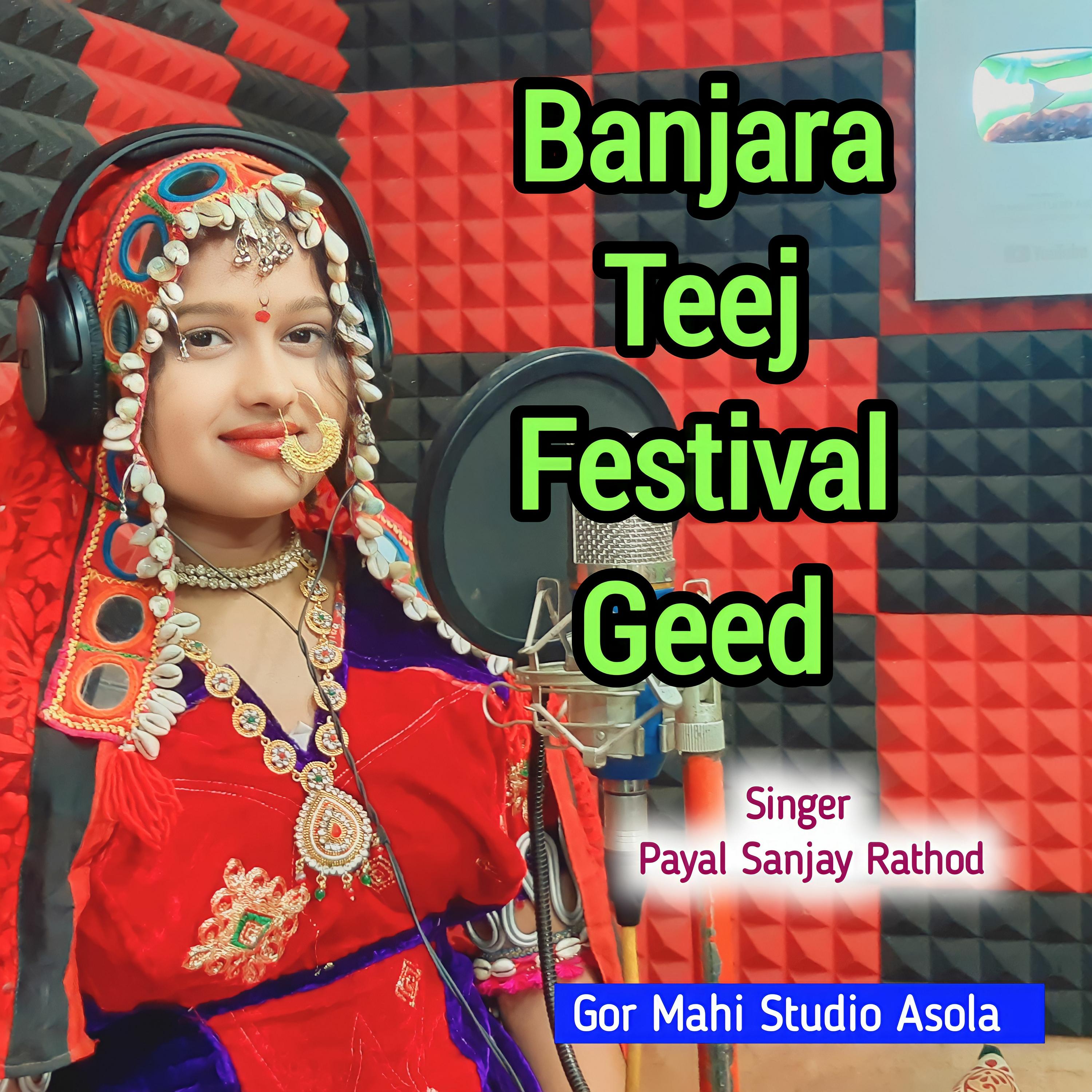 Banjara Teej Song Nayak Saheberi Beti Ye - Sonu Mahi/Payal Rathod - 单曲 ...