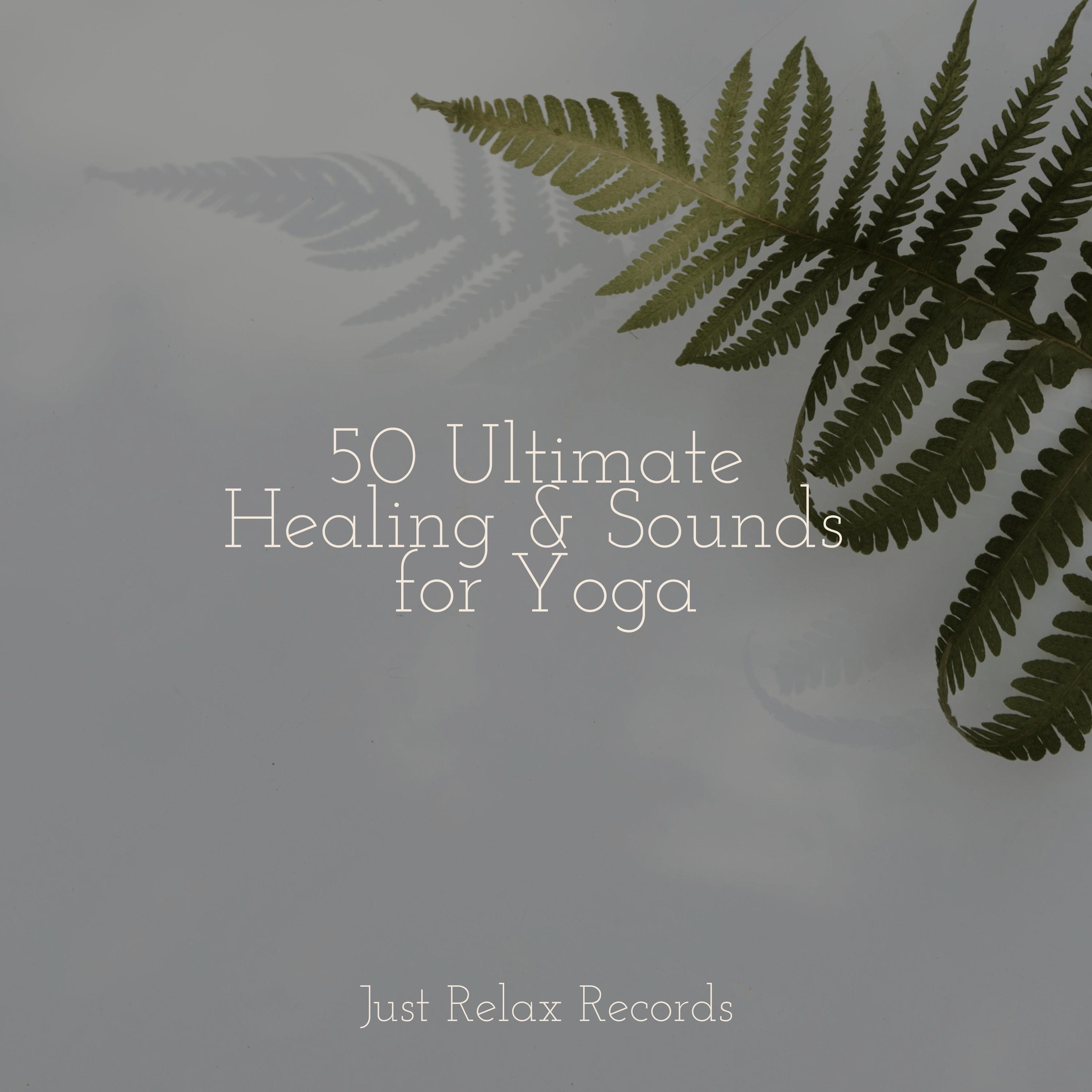 50 Ultimate Healing & Sounds for Yoga - Yoga Sounds - 专辑 - 网易云音乐