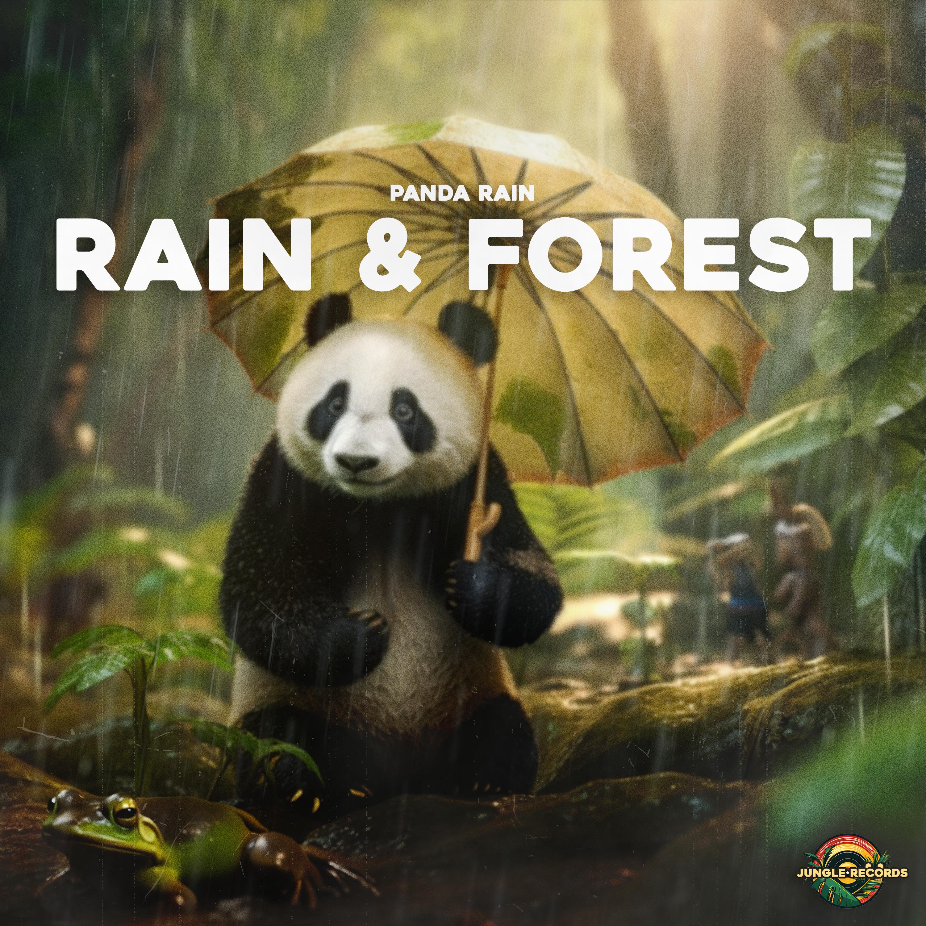 Rainforest Awakening - Panda Rain - 单曲 - 网易云音乐