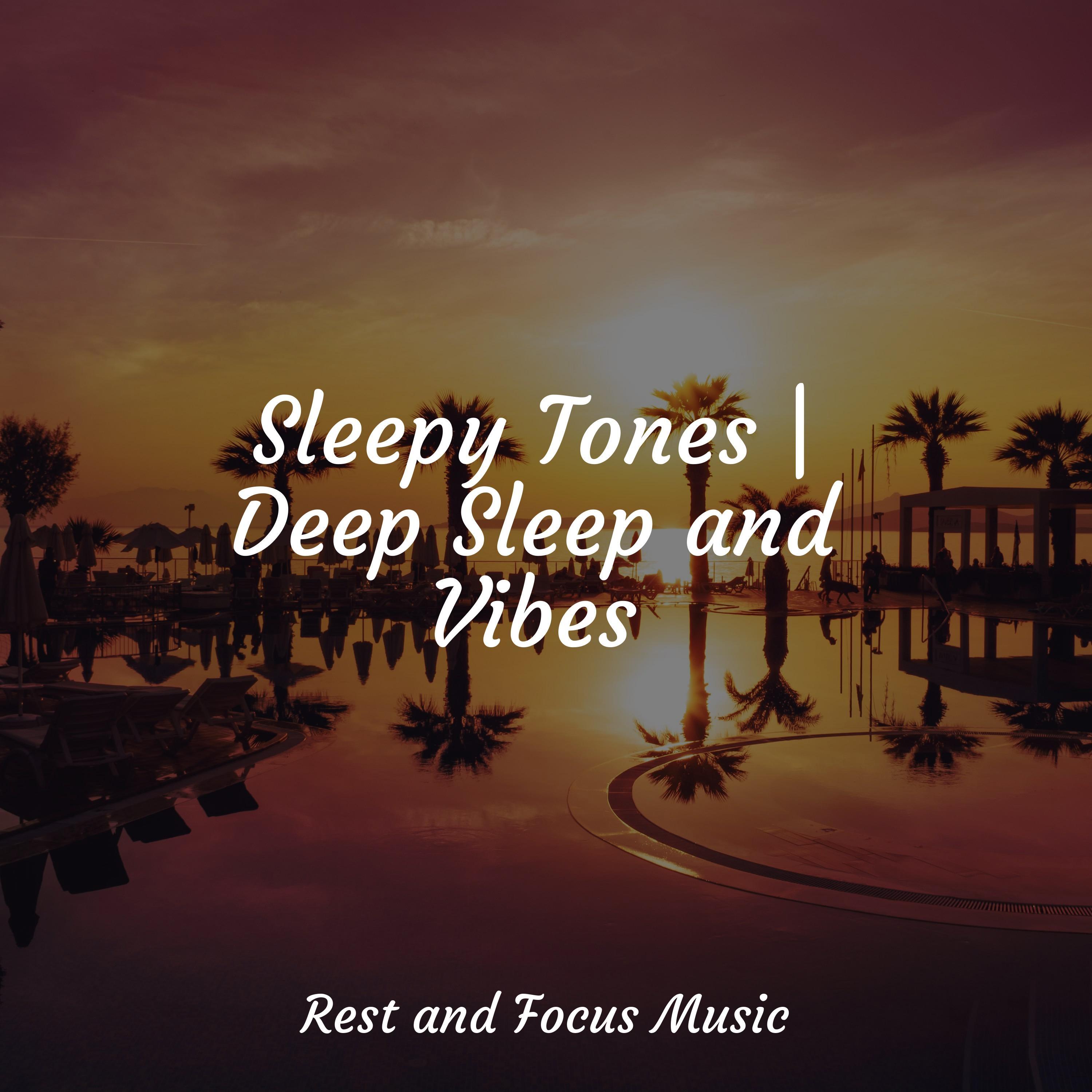 Sleepy Tones | Deep Sleep and Vibes - Deep Sleep - 专辑 - 网易云音乐