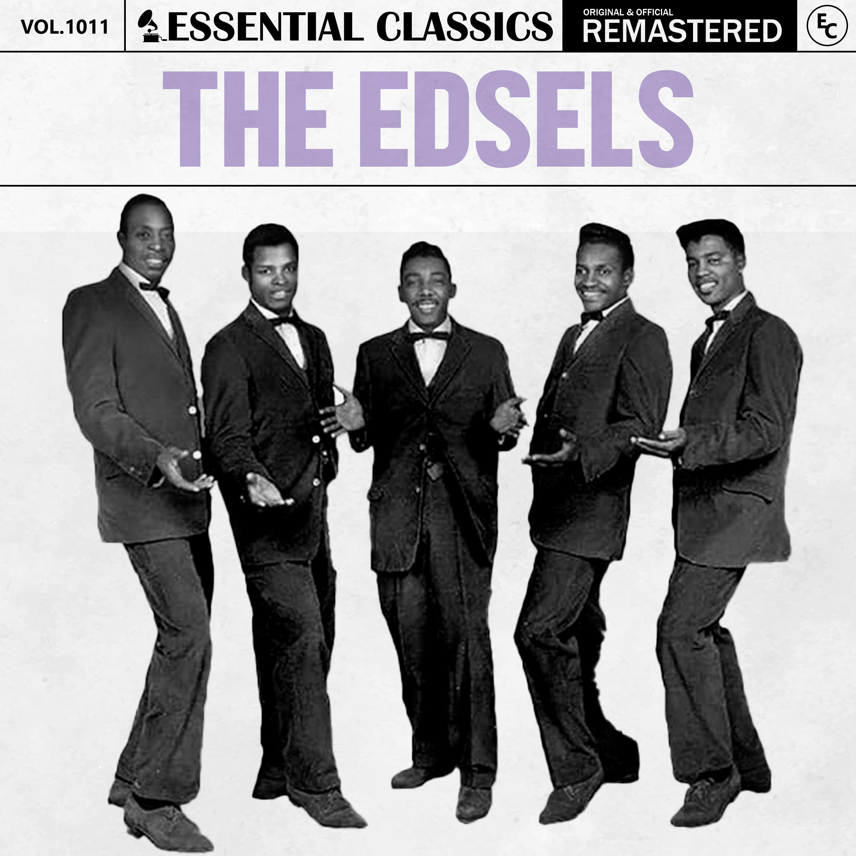 Don't Know what to do - The Edsels - 单曲 - 网易云音乐