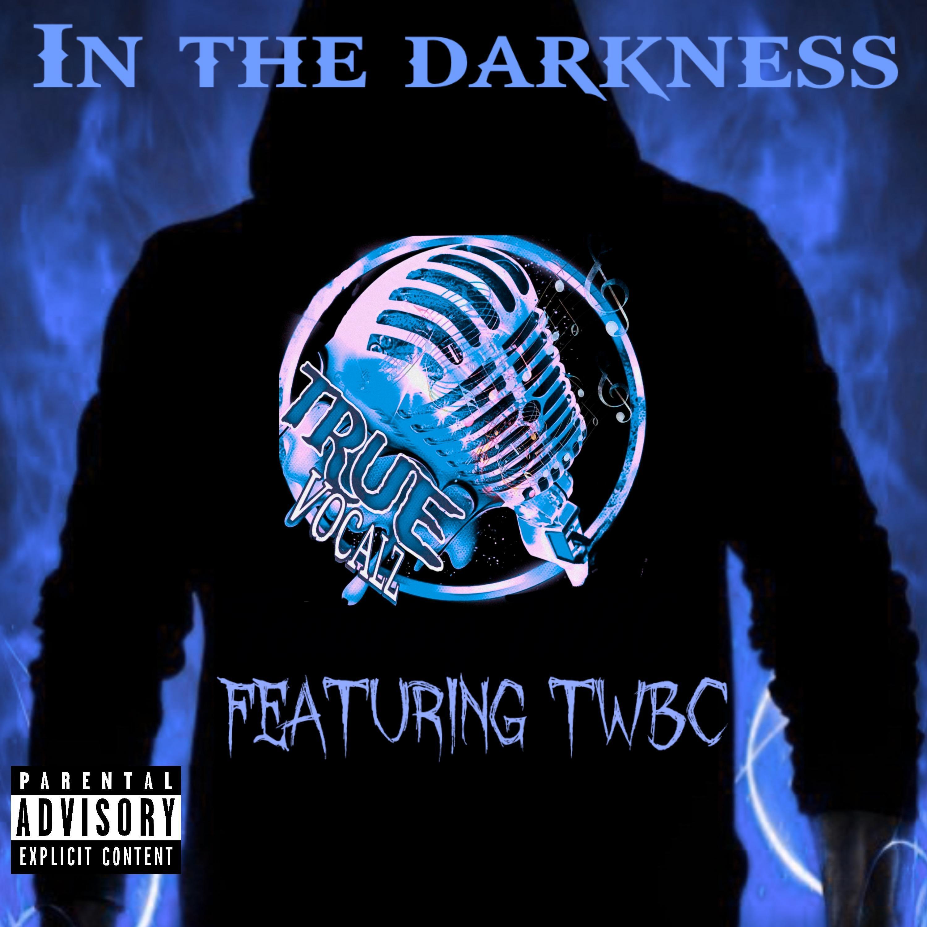 IN THE DARKNESS (feat. TWBC) - TRUE VOCALZ - 专辑 - 网易云音乐