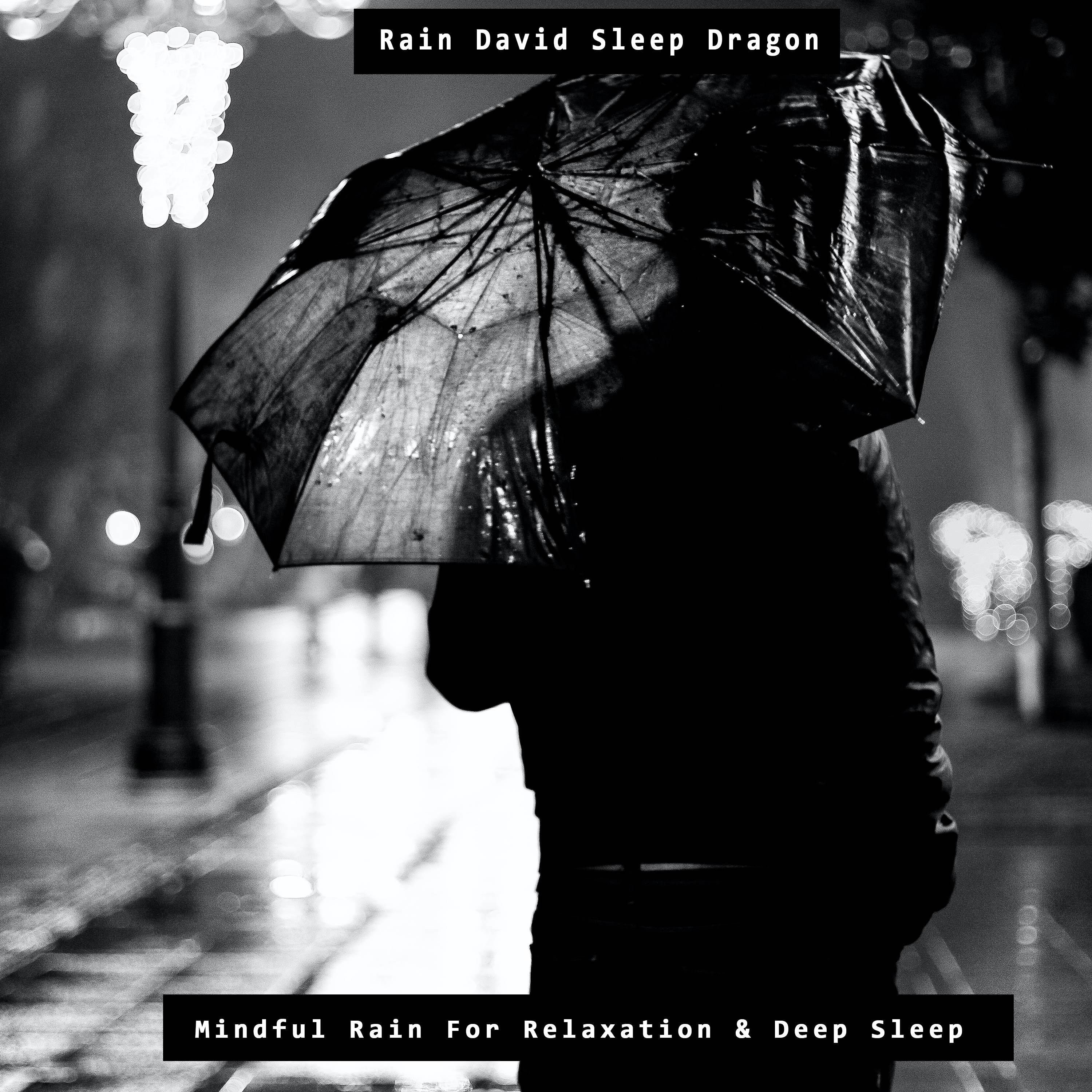 Soft Rain - Rain David Sleep Dragon - 单曲 - 网易云音乐