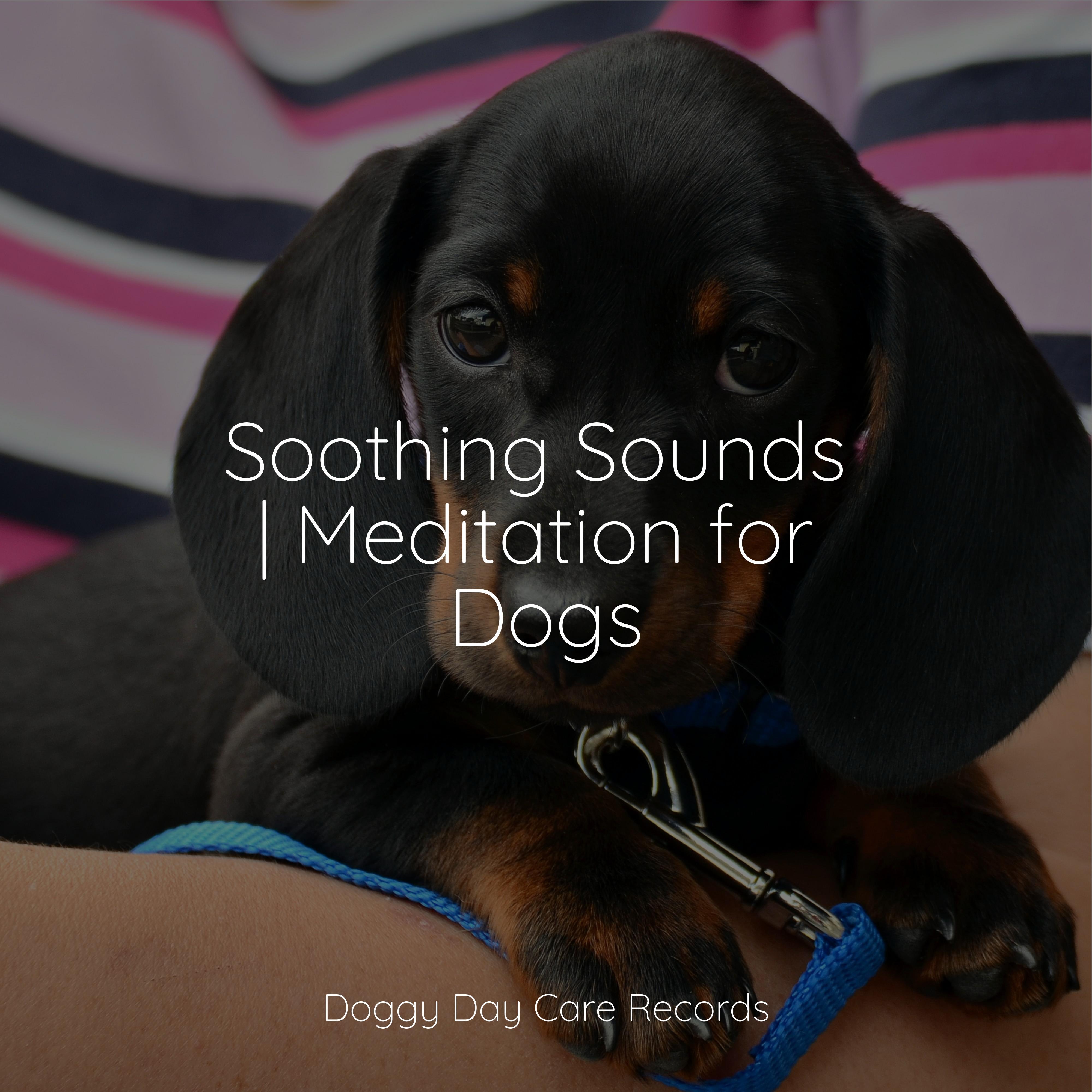 Deep Breathing - Relaxation Music For Dogs/Official Pet Care Collection ...