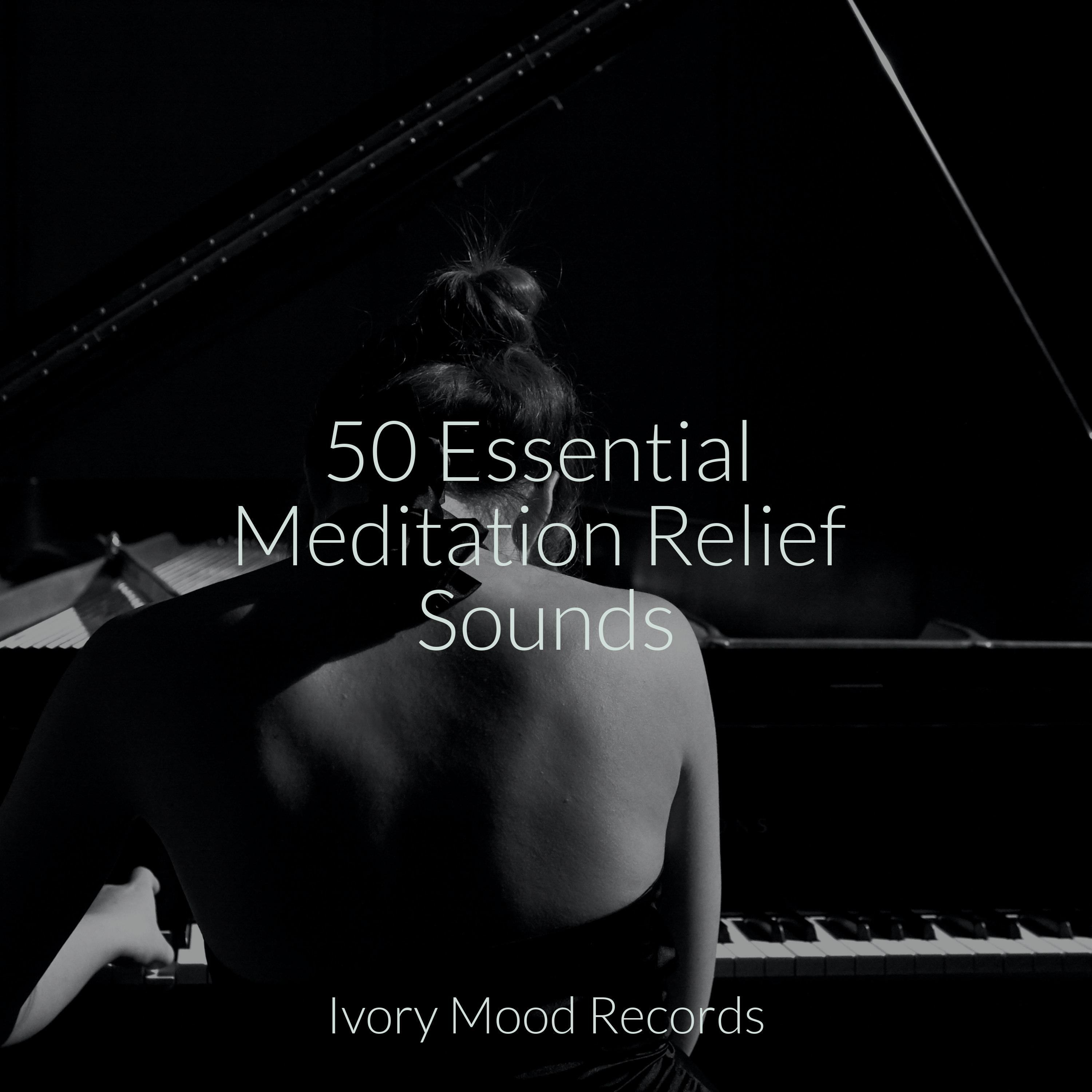 50 Essential Meditation Relief Sounds - Chakra Balancing Sound Therapy ...