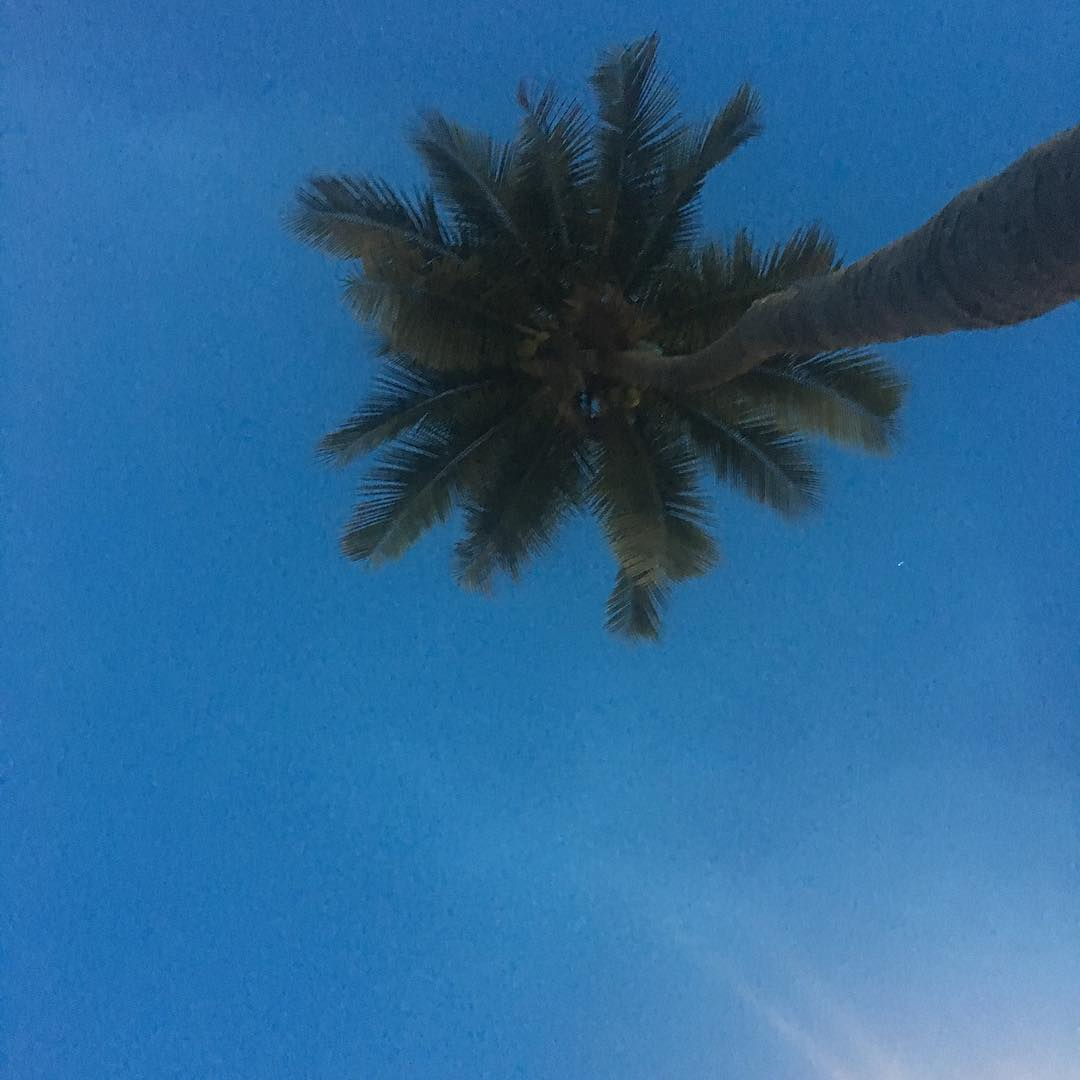 Hy - I Lost You (Nejtrino & Baur Remix) - Wolf - 电台节目 - 网易云音乐