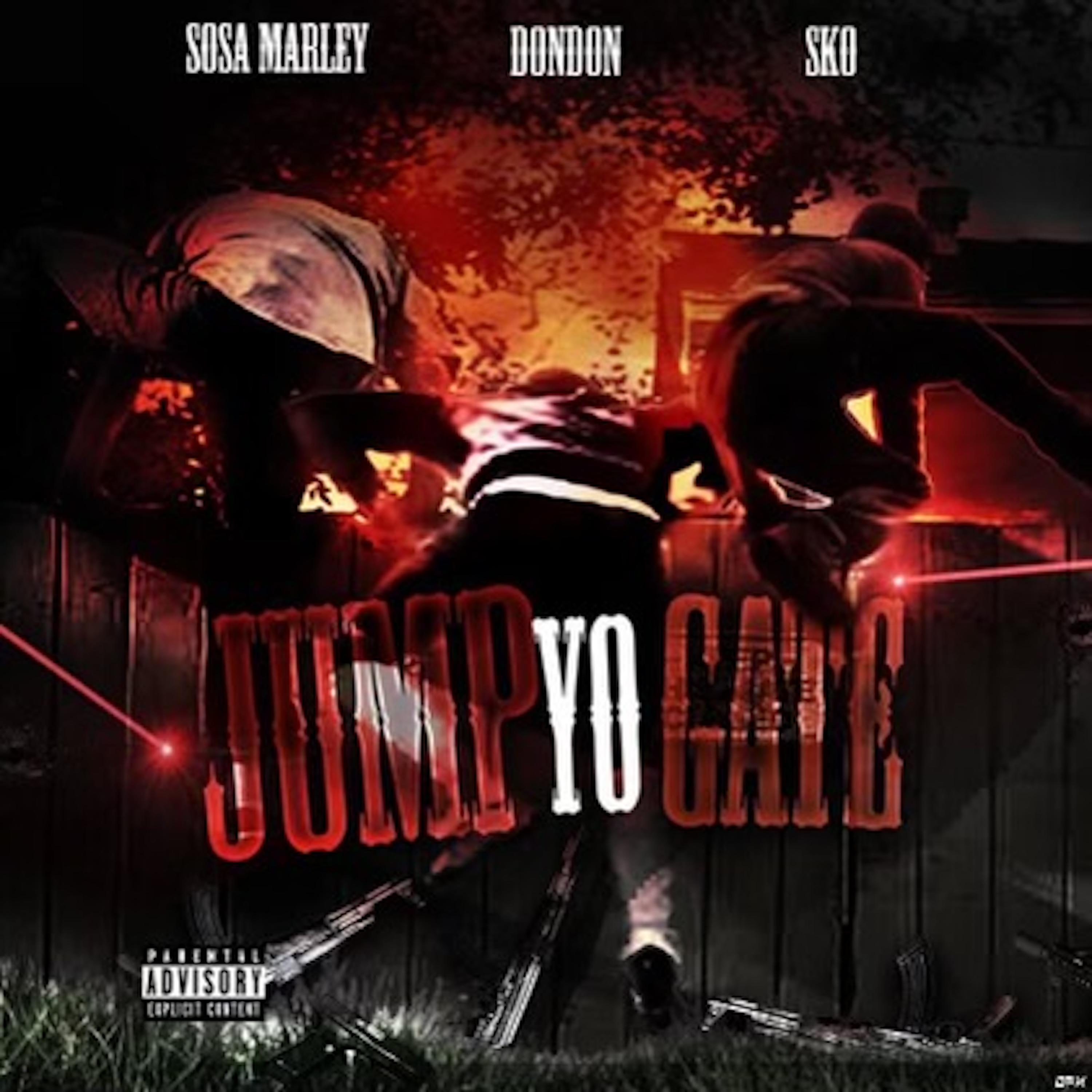 Jump Yo Gate (feat. DonDon & Sko) - Sosa Marley/DonDon/SKO - 单曲 - 网易云音乐