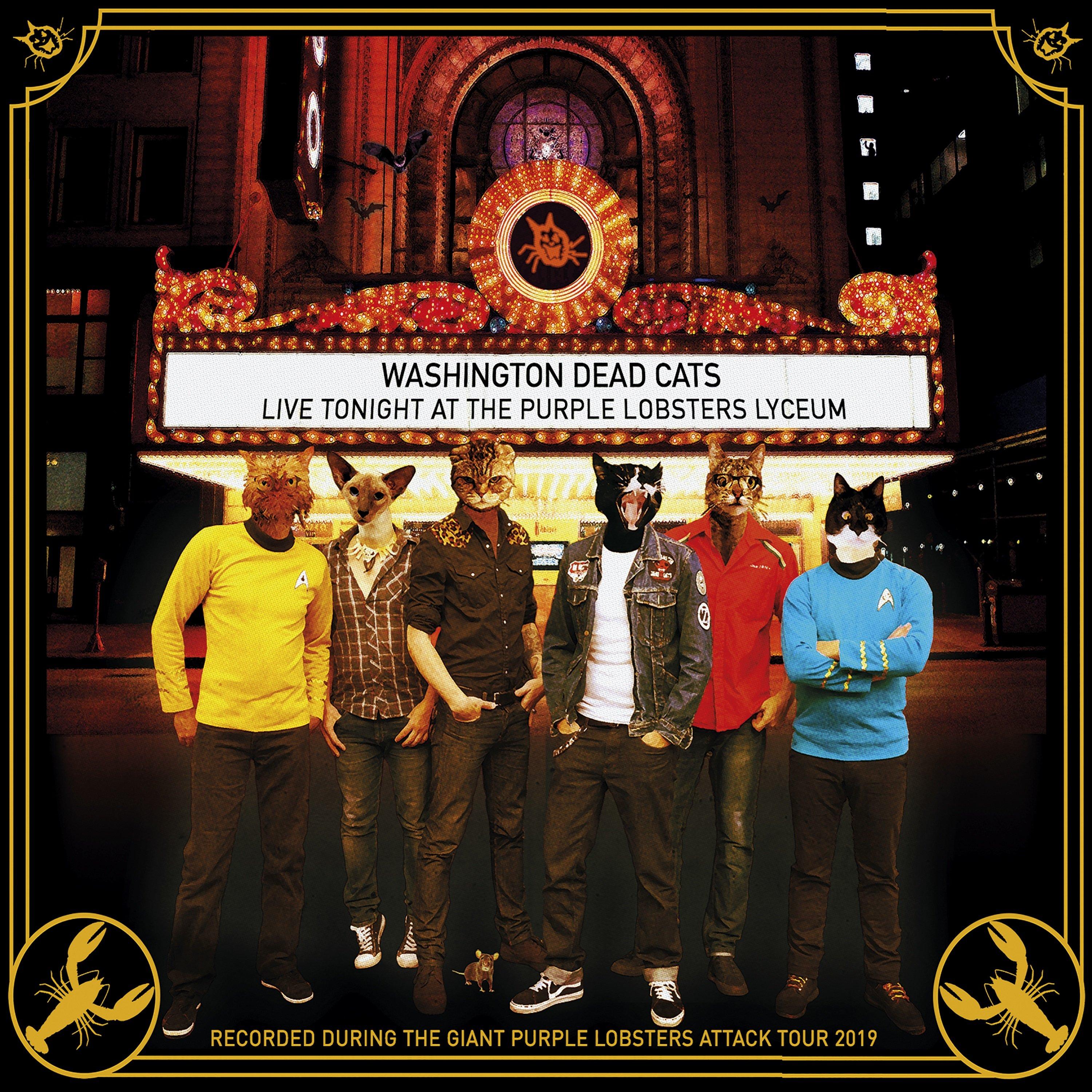 Crazy Voodoo Woman - Washington Dead Cats - 单曲 - 网易云音乐