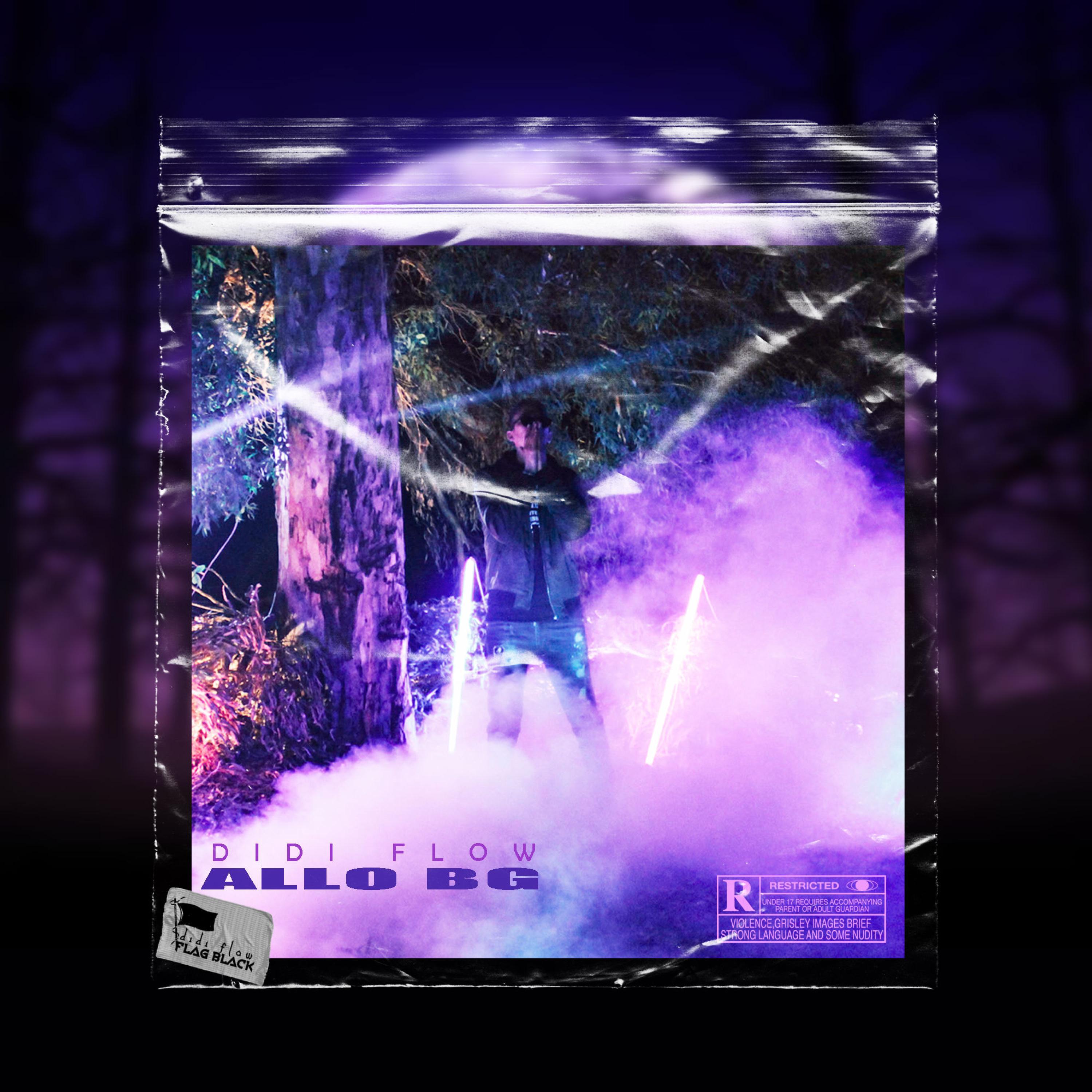 ALLO BG - DIDI FLOW - 专辑 - 网易云音乐