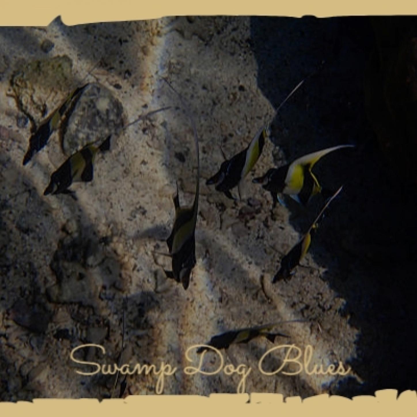 Swamp Dog Blues - Various Artists - 专辑 - 网易云音乐