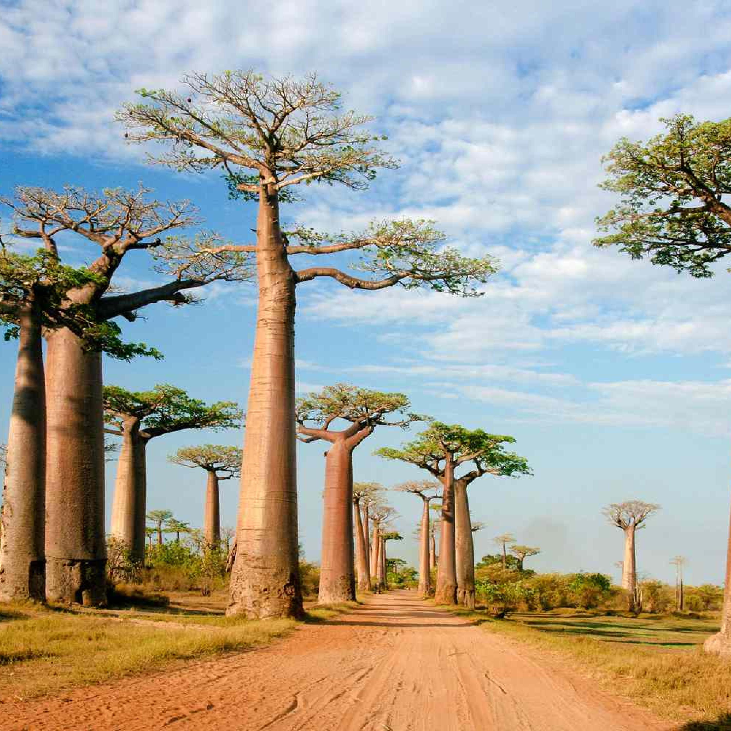 N.O7 - Monserrate Scavone - 专辑 - 网易云音乐