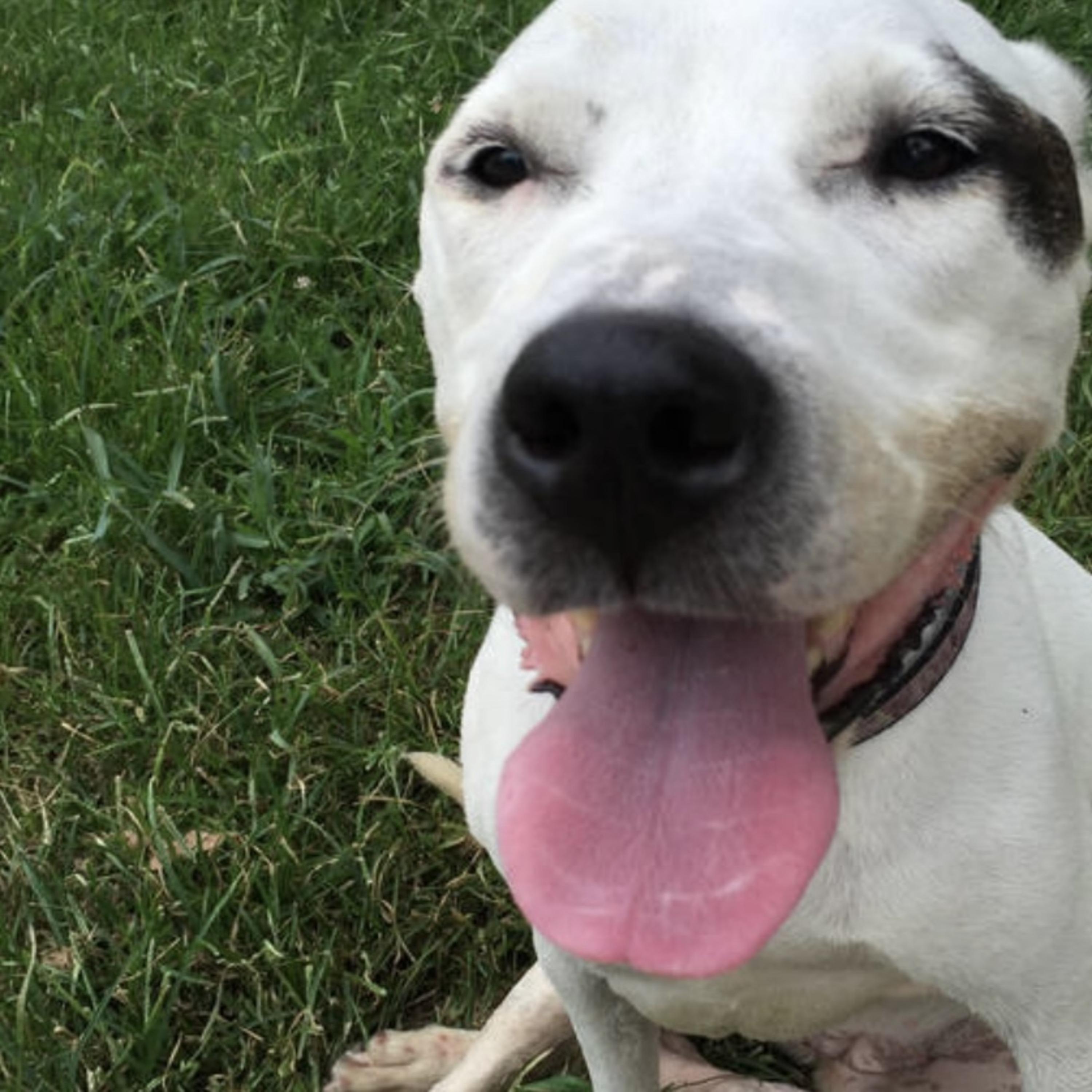 IT'S RAINING UNICORN TEARS (2025 Remastered Version) - Falcore - 单曲 - 网易云音乐