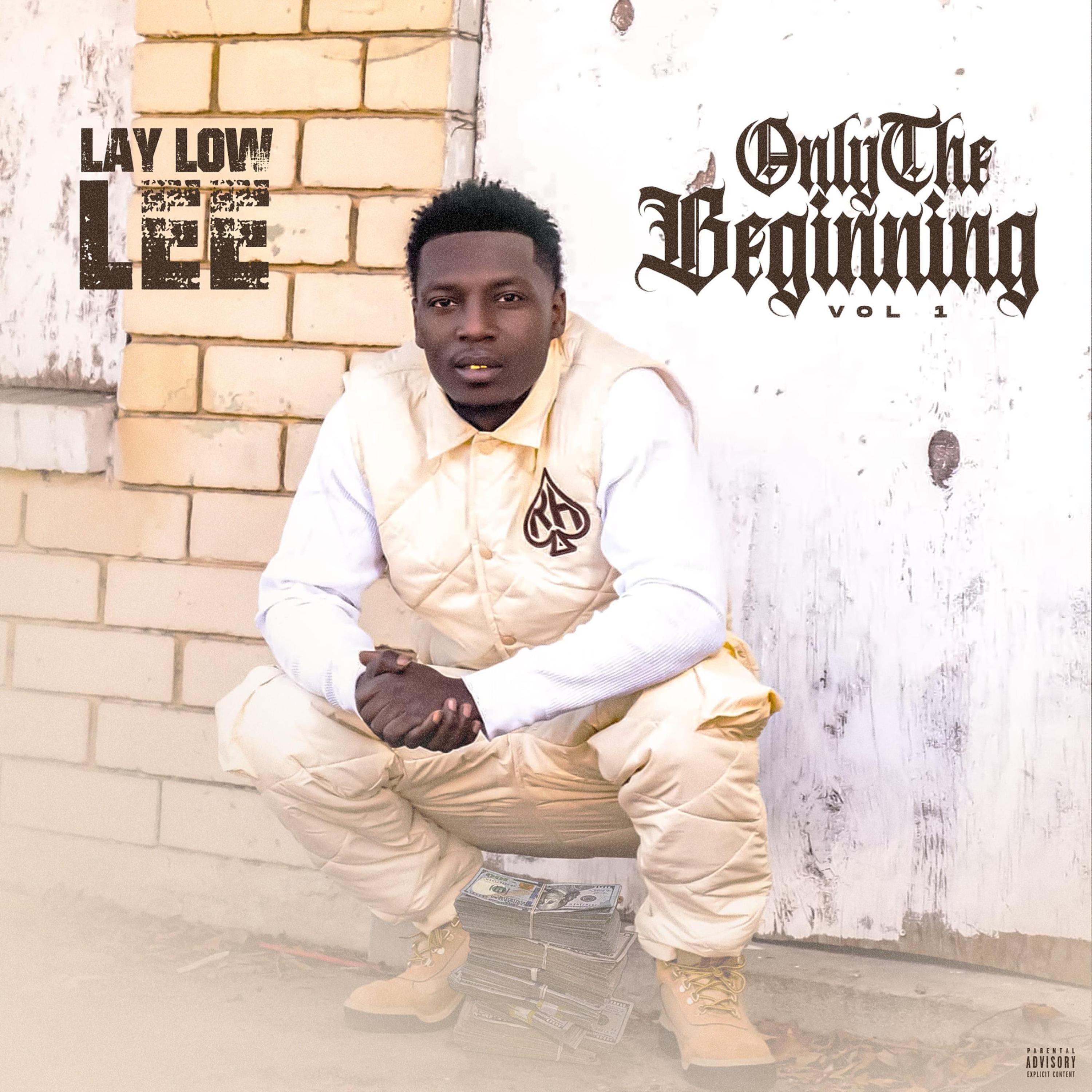 Soul Ties - Laylow Lee - 单曲 - 网易云音乐