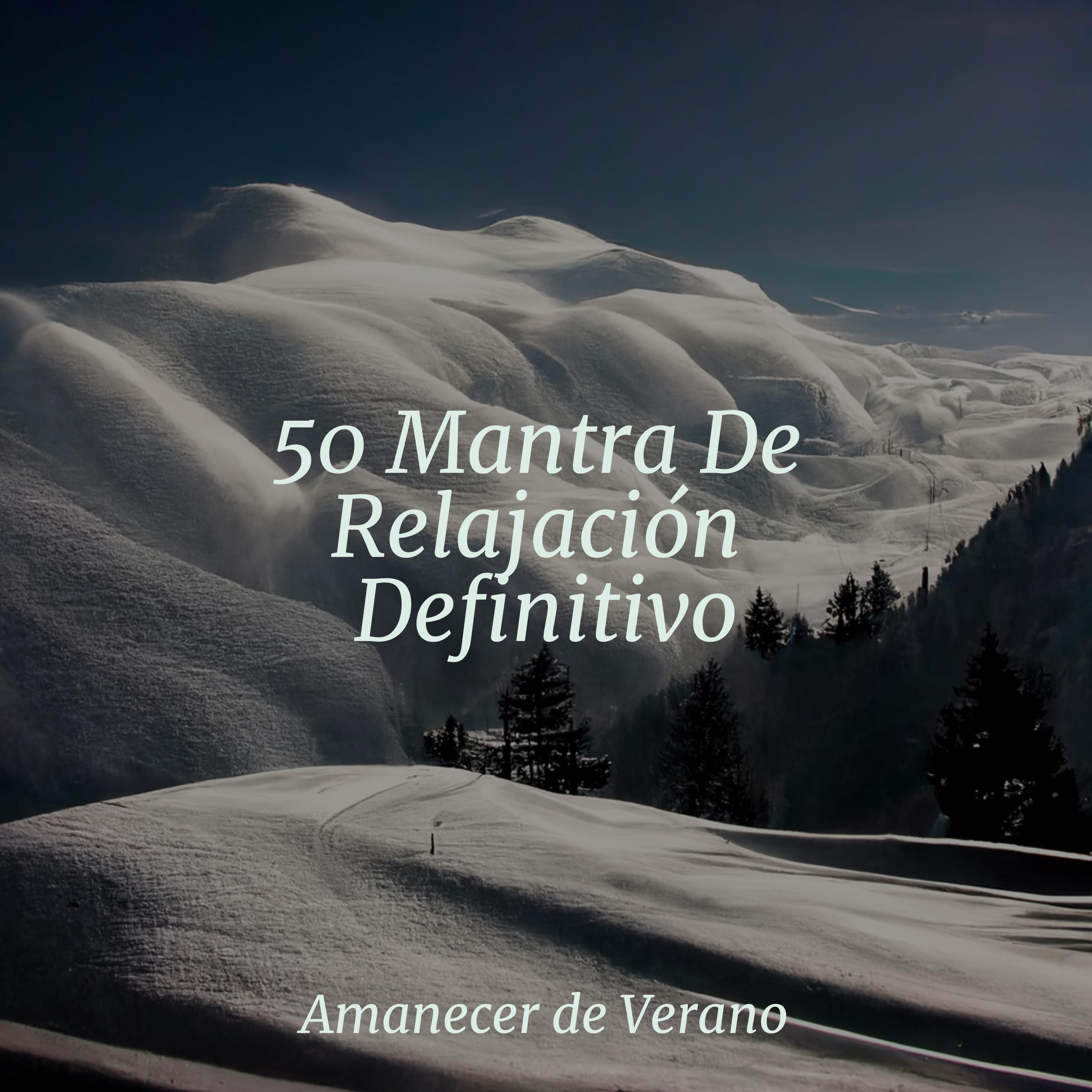 50 Mantra De Relajación Definitivo - Música Instrumental Maestro - 专辑 ...