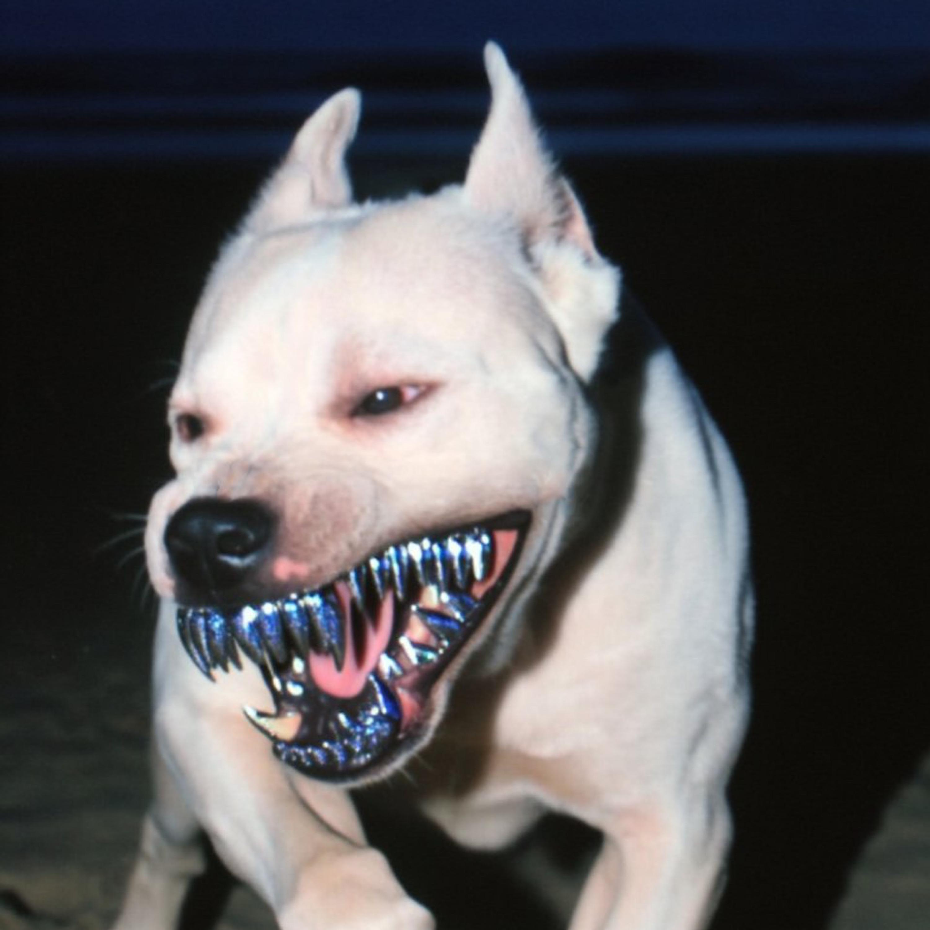 V12 (feat. Trill Flackø) - Mlmsantana/Trill Flacko - 单曲 - 网易云音乐